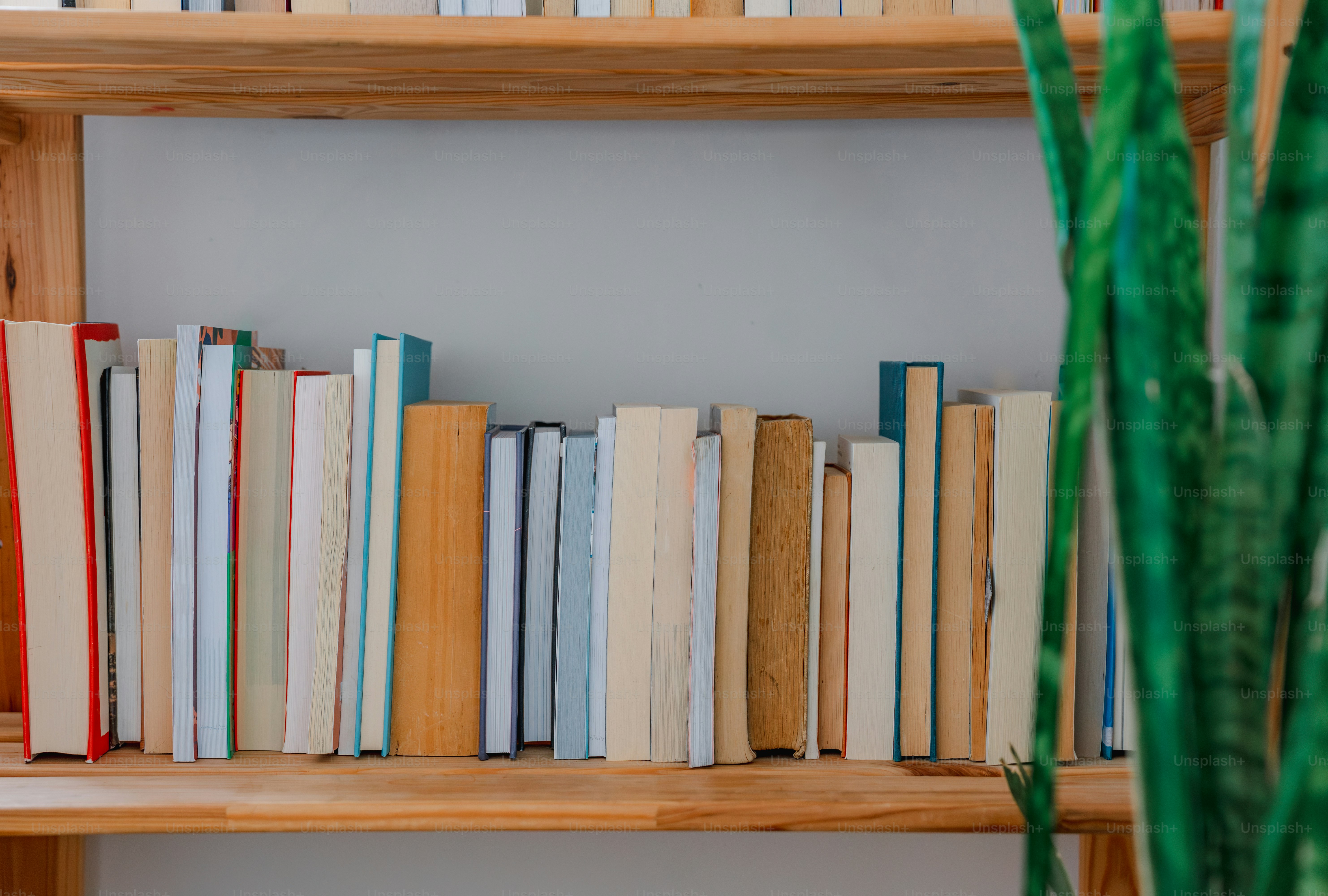 Books and plants decorate a simple wooden bookshelf. photo – Books ...