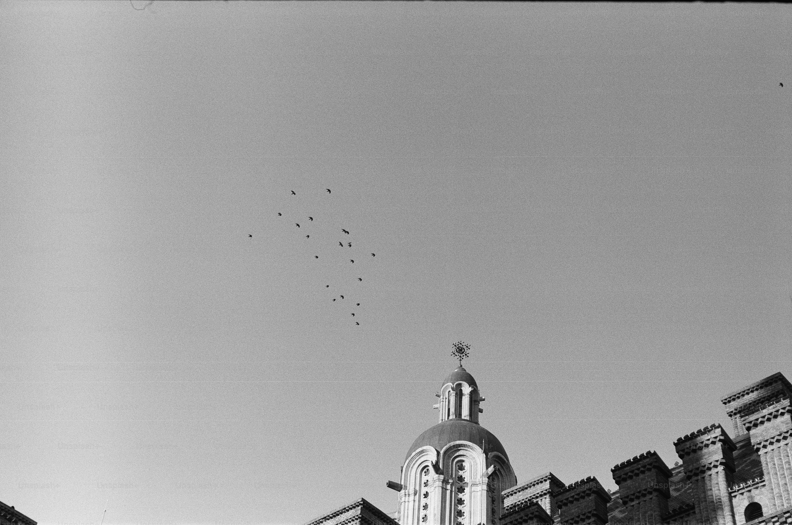 Birds fly over a building. photo – Architecture Image on Unsplash