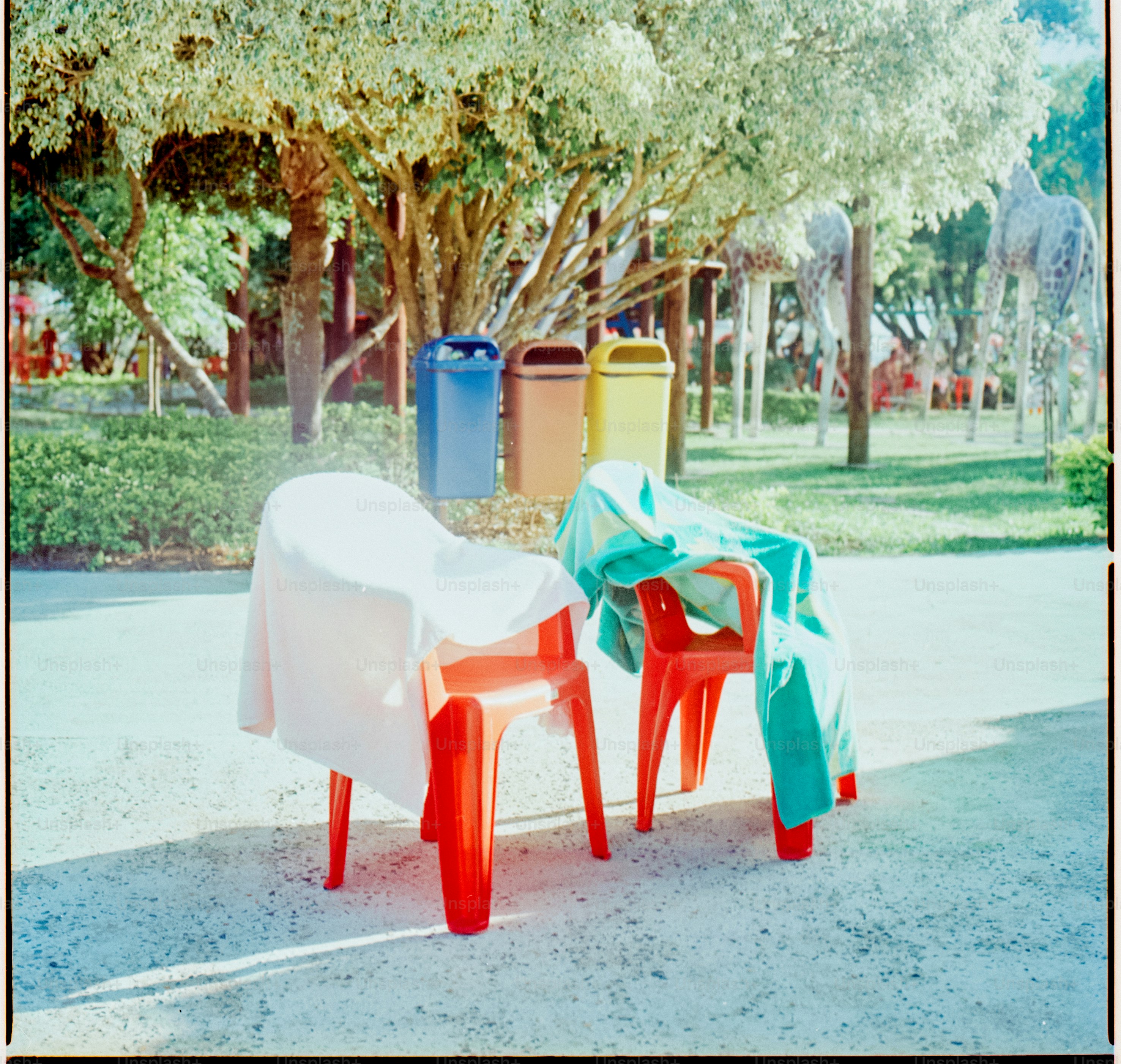 Chairs are draped under trees with colorful trash cans. photo – Film ...