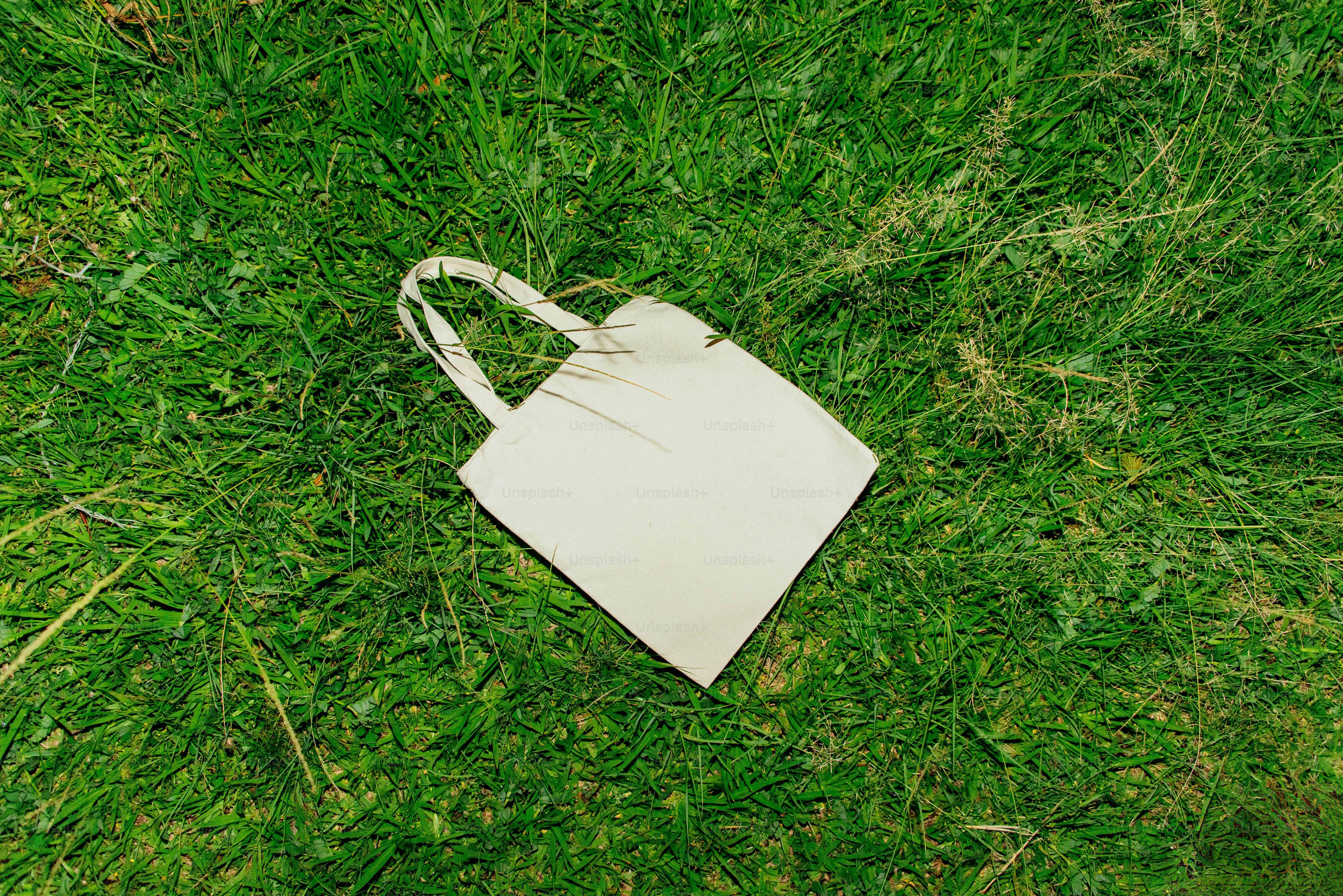 A white tote bag is on the green grass. photo – Marketing Image on Unsplash
