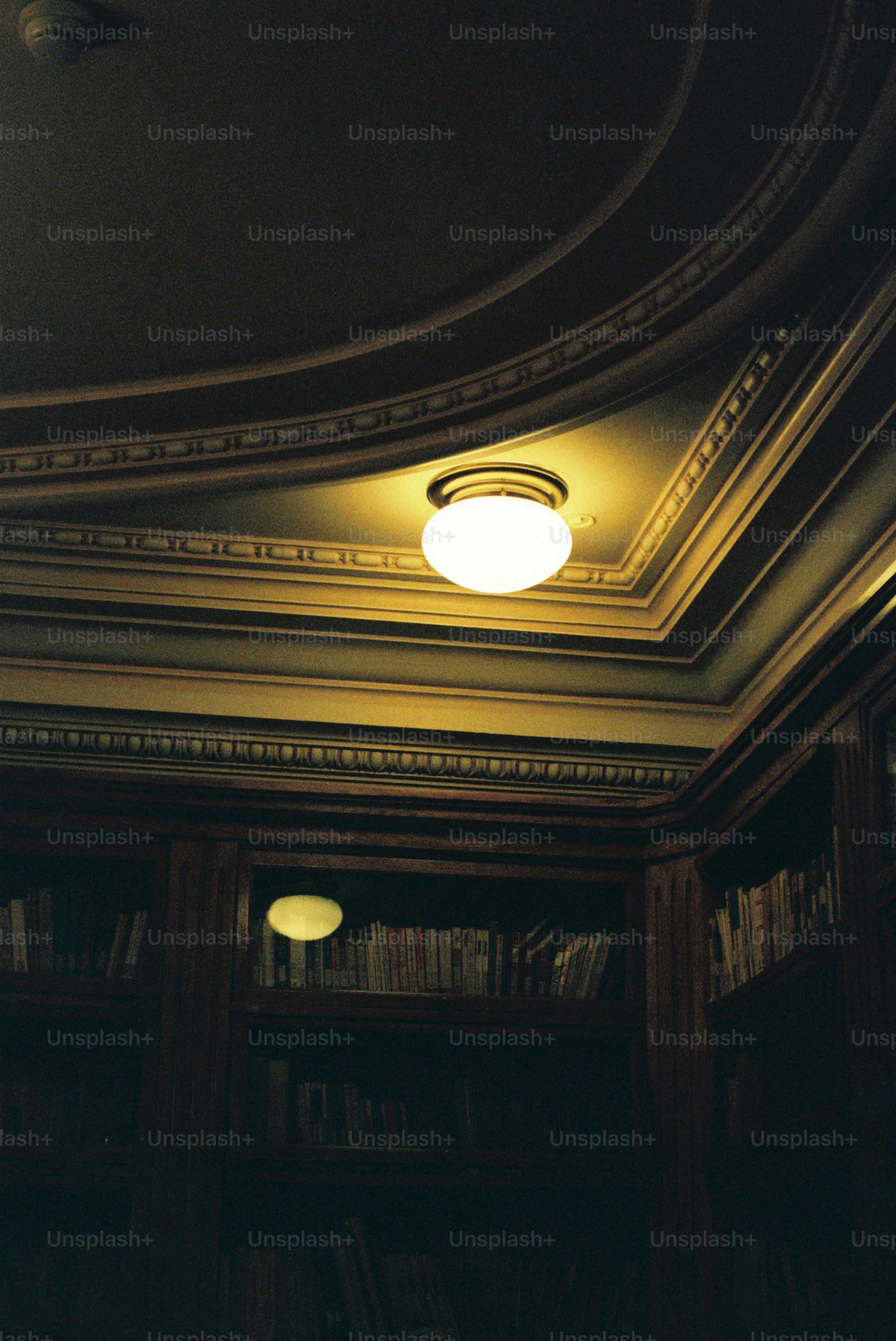 Advocate Library Pictures | Download Free Images on Unsplash