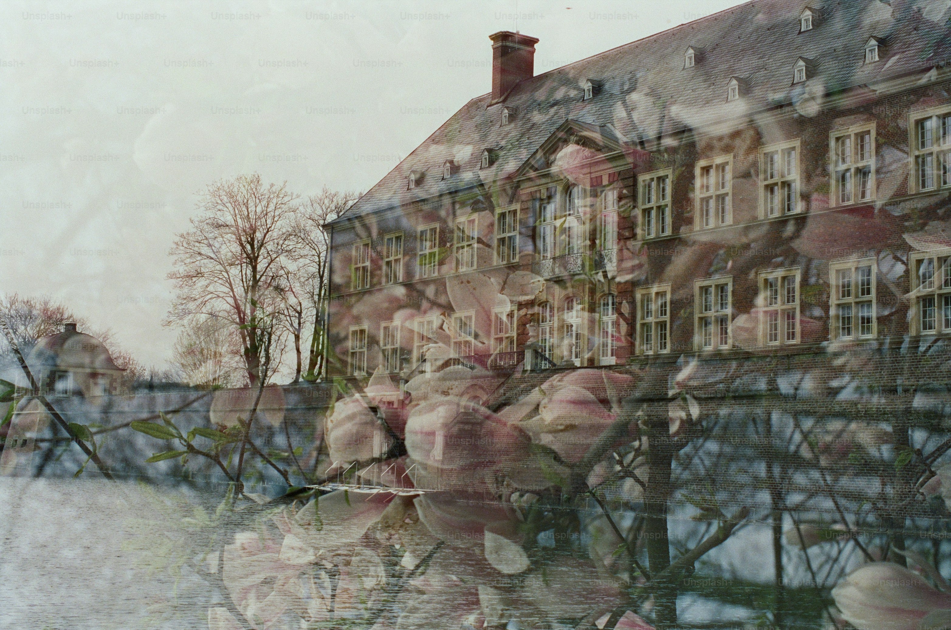 An old building reflects in the water. photo – Film Image on Unsplash