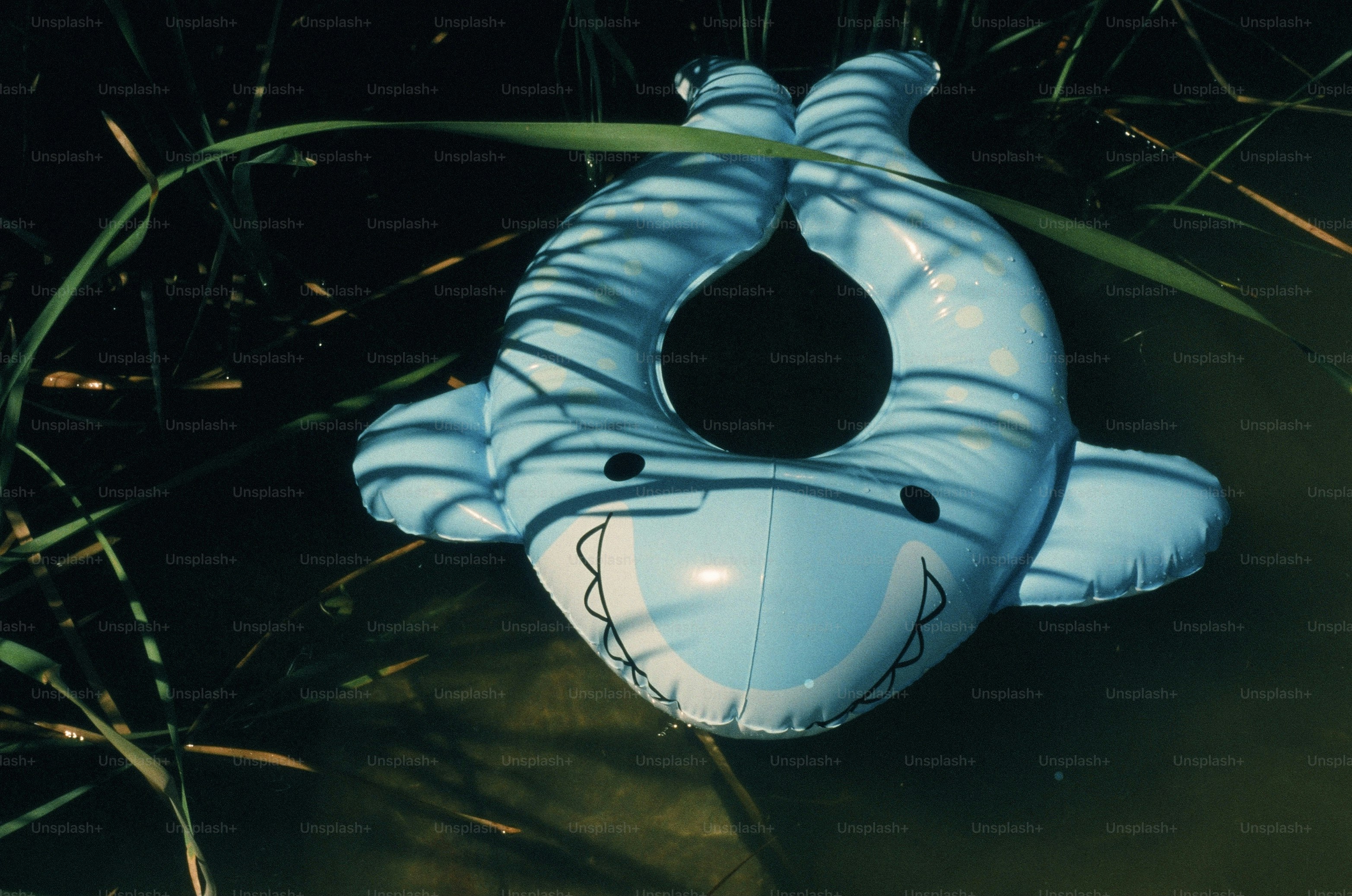 A blue shark pool float is among tall grass. photo – Summer Image on ...