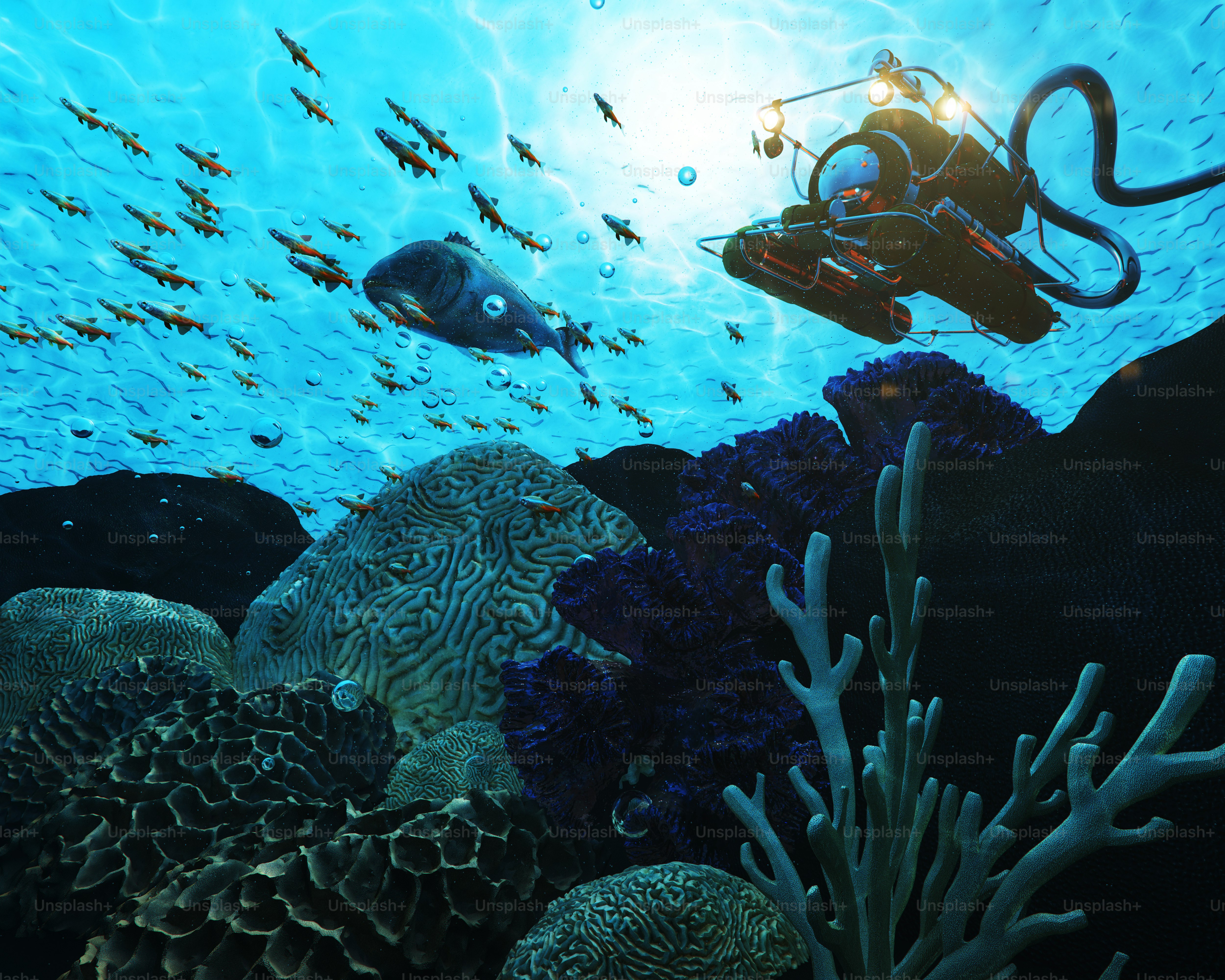 Divers explore a lively reef underwater. photo – Underwater Image on ...