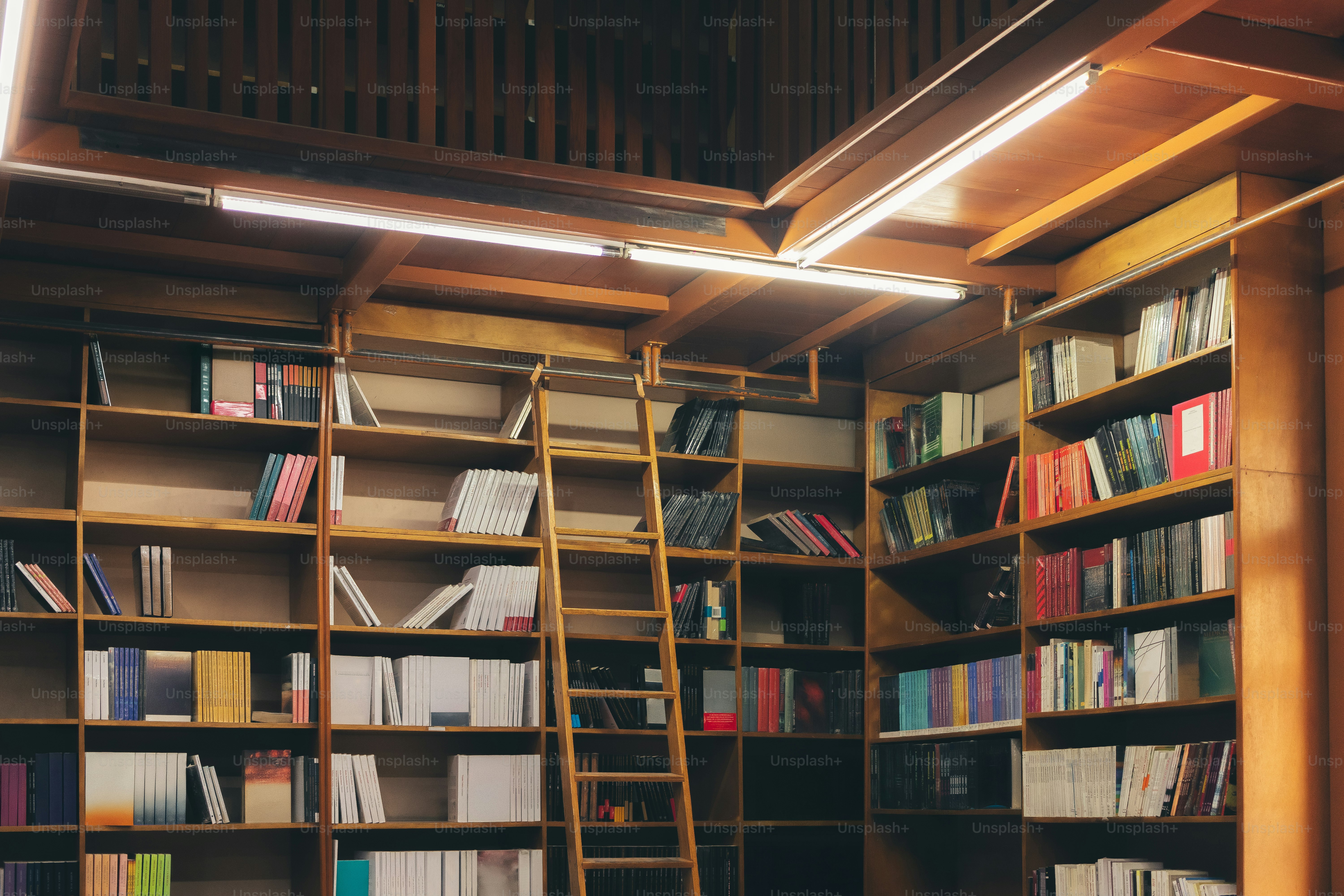 A wooden library filled with books. photo – Books Image on Unsplash