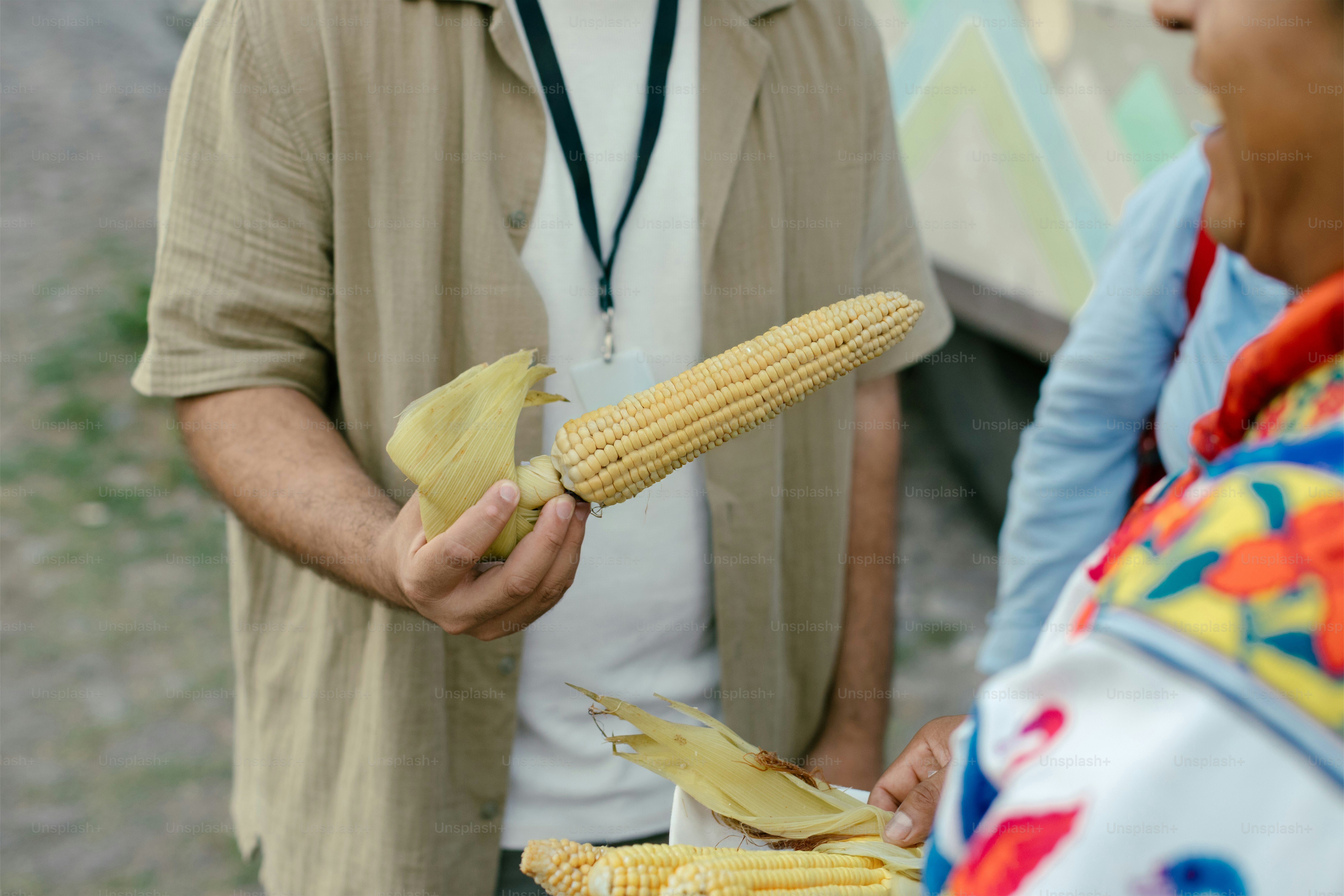 Man holds a taco with delicious filling. photo – Food Image on Unsplash