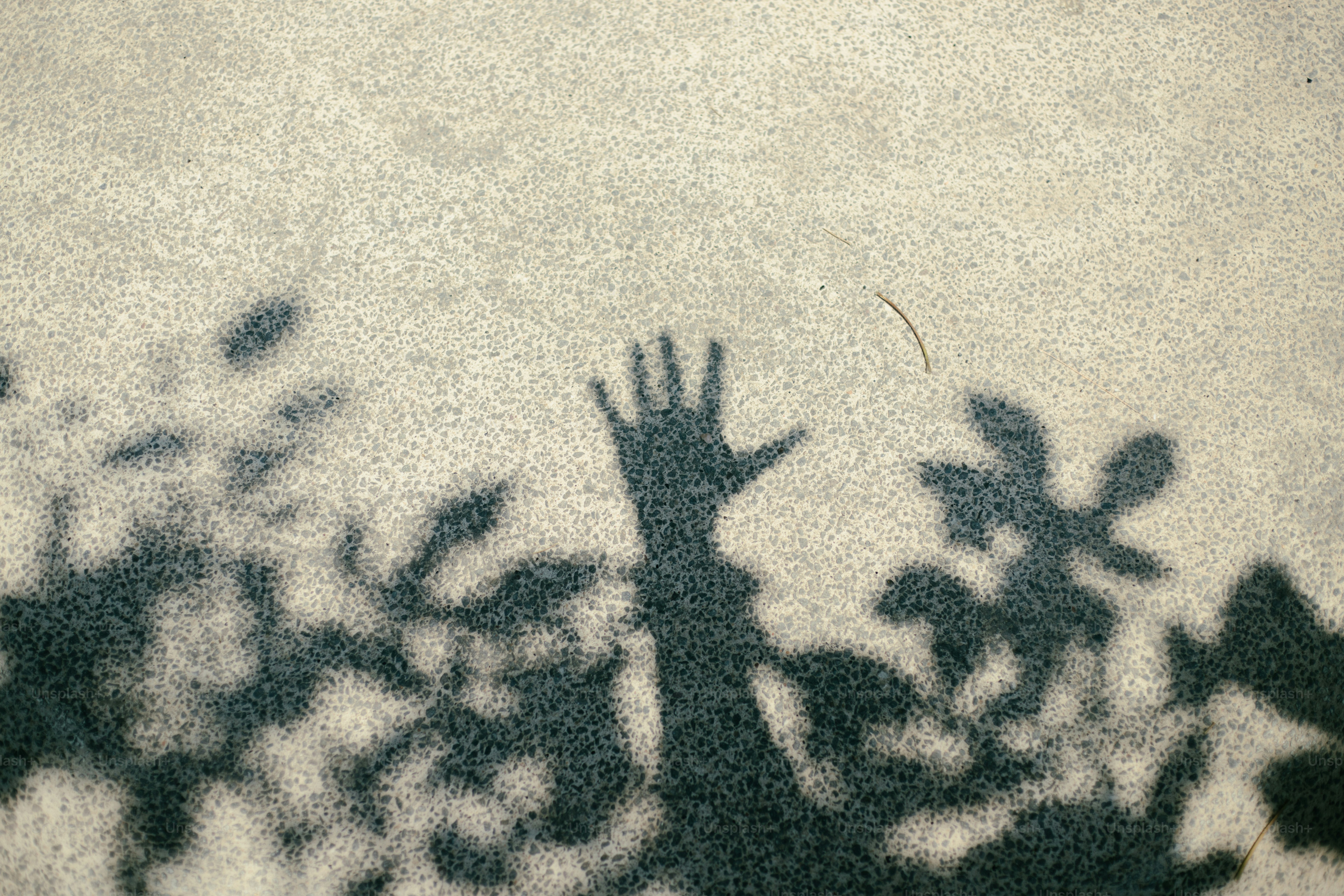 Shadow of a hand reaches among leaves. photo – Abstract Image on Unsplash