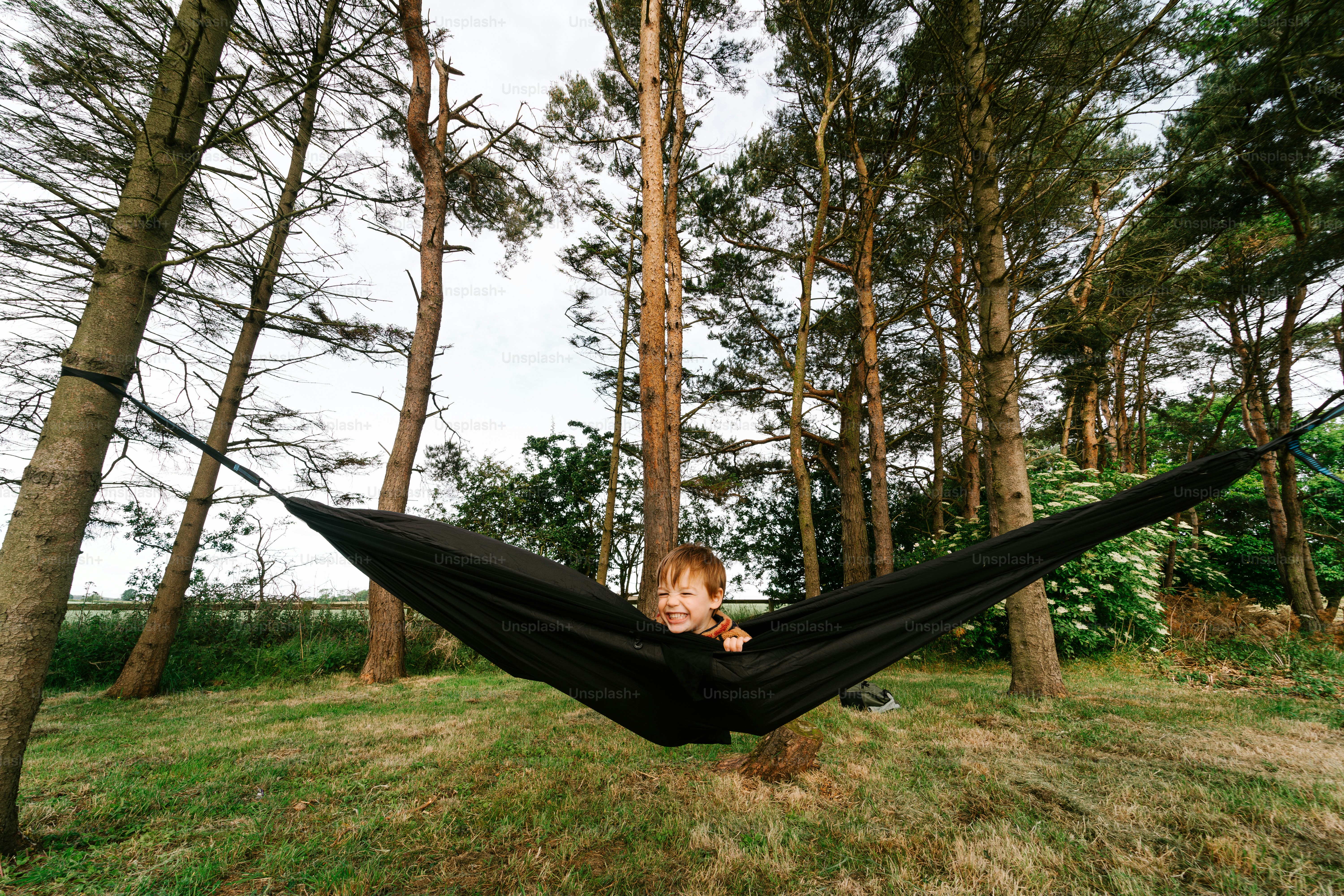 500+ immagini non protette da copyright [HD] | Scarica immagini gratis ...