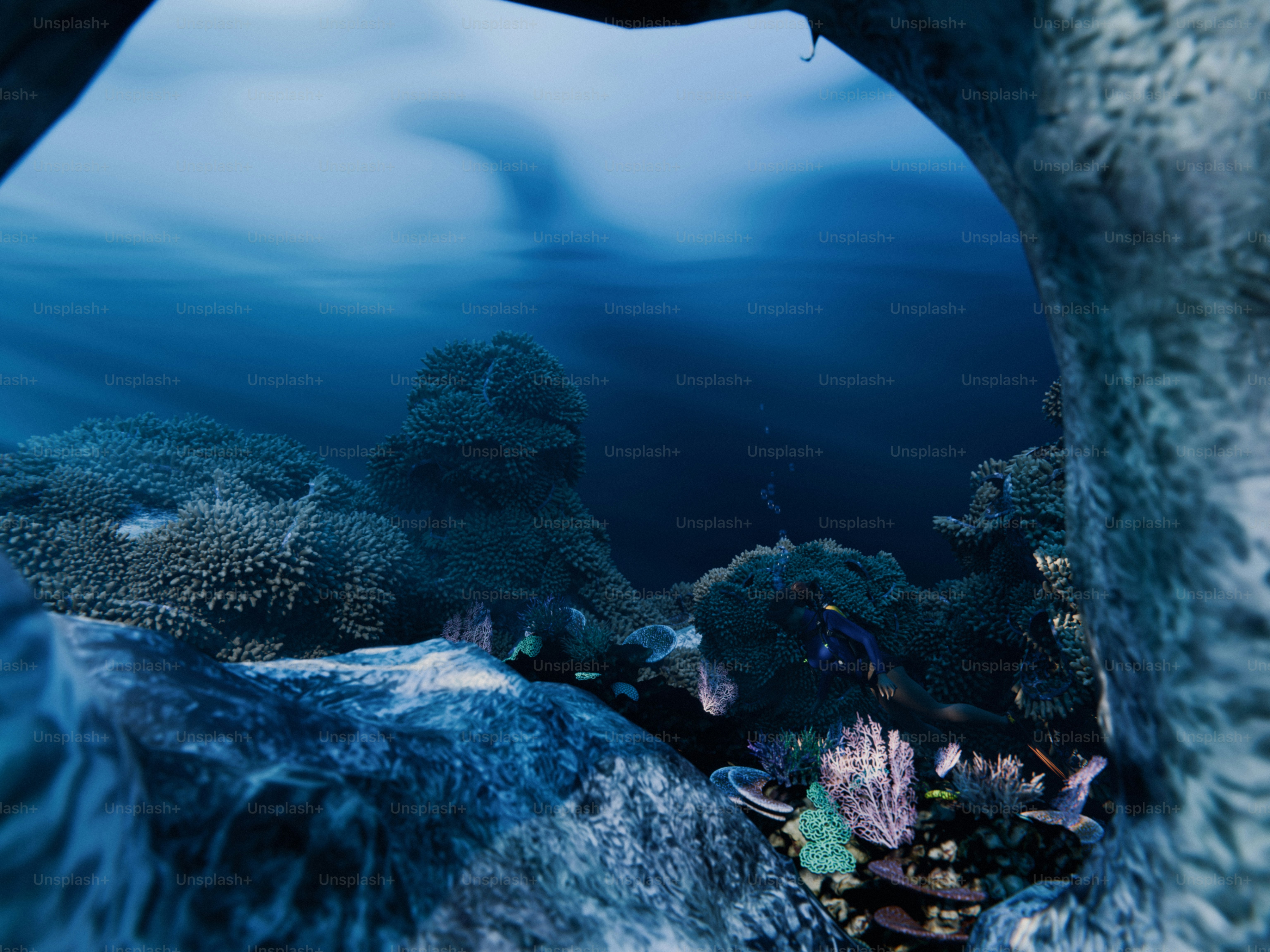 Looking through an underwater cave at coral. photo – Underwater Image ...