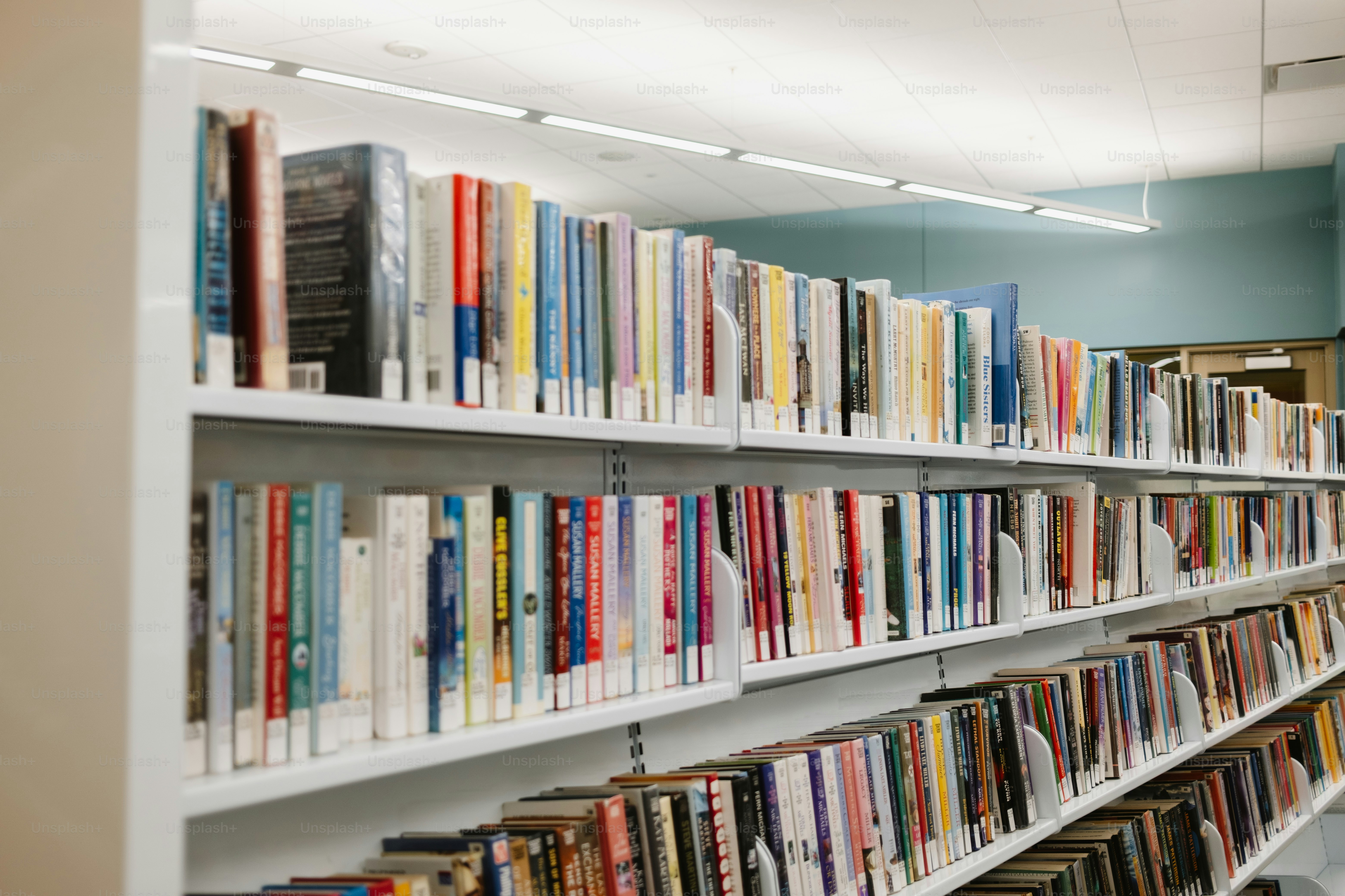 Books are on shelves in a library. photo – Books Image on Unsplash