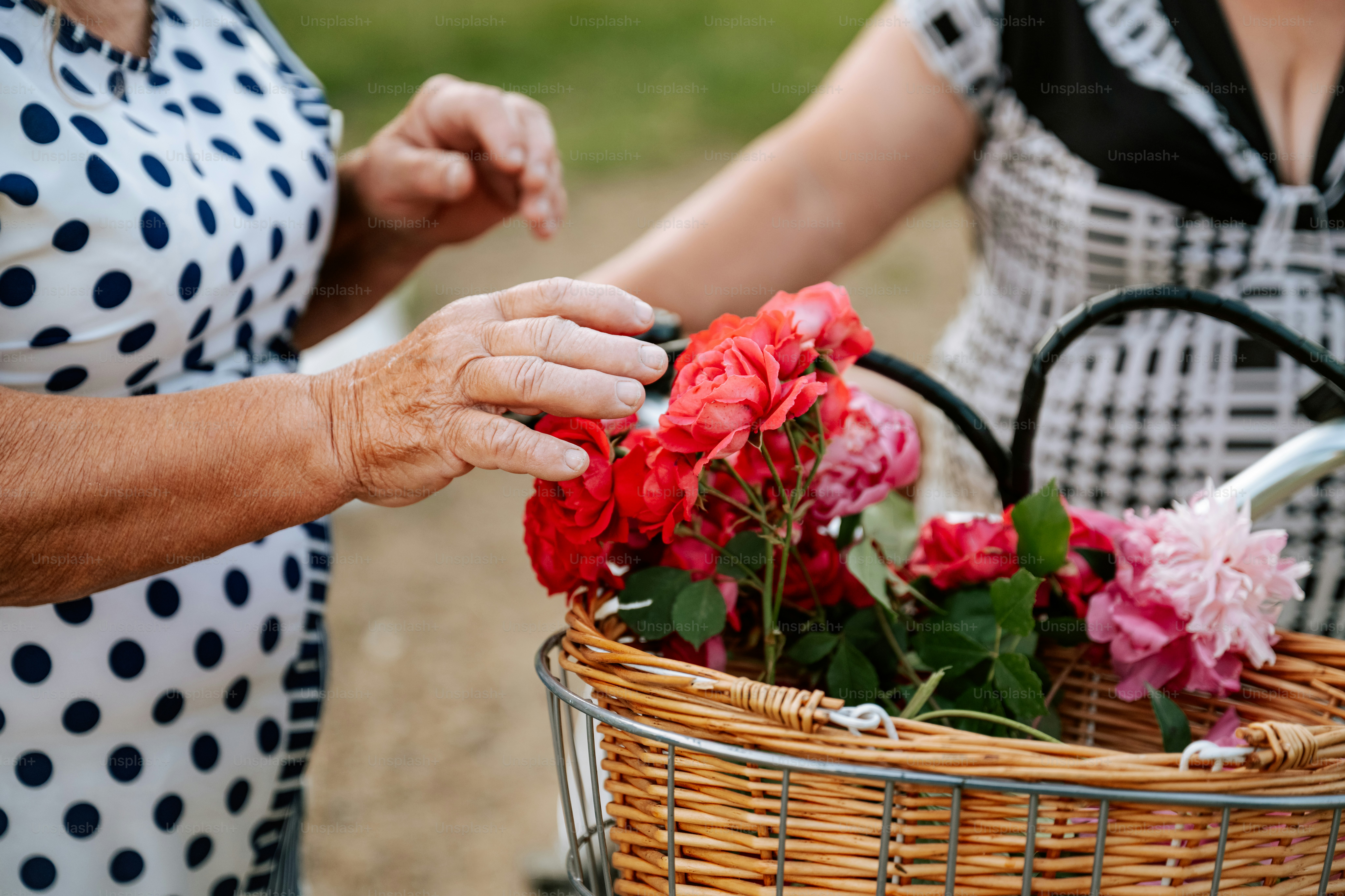 Two elderly women walk with a bicycle. photo – Friends Image on Unsplash