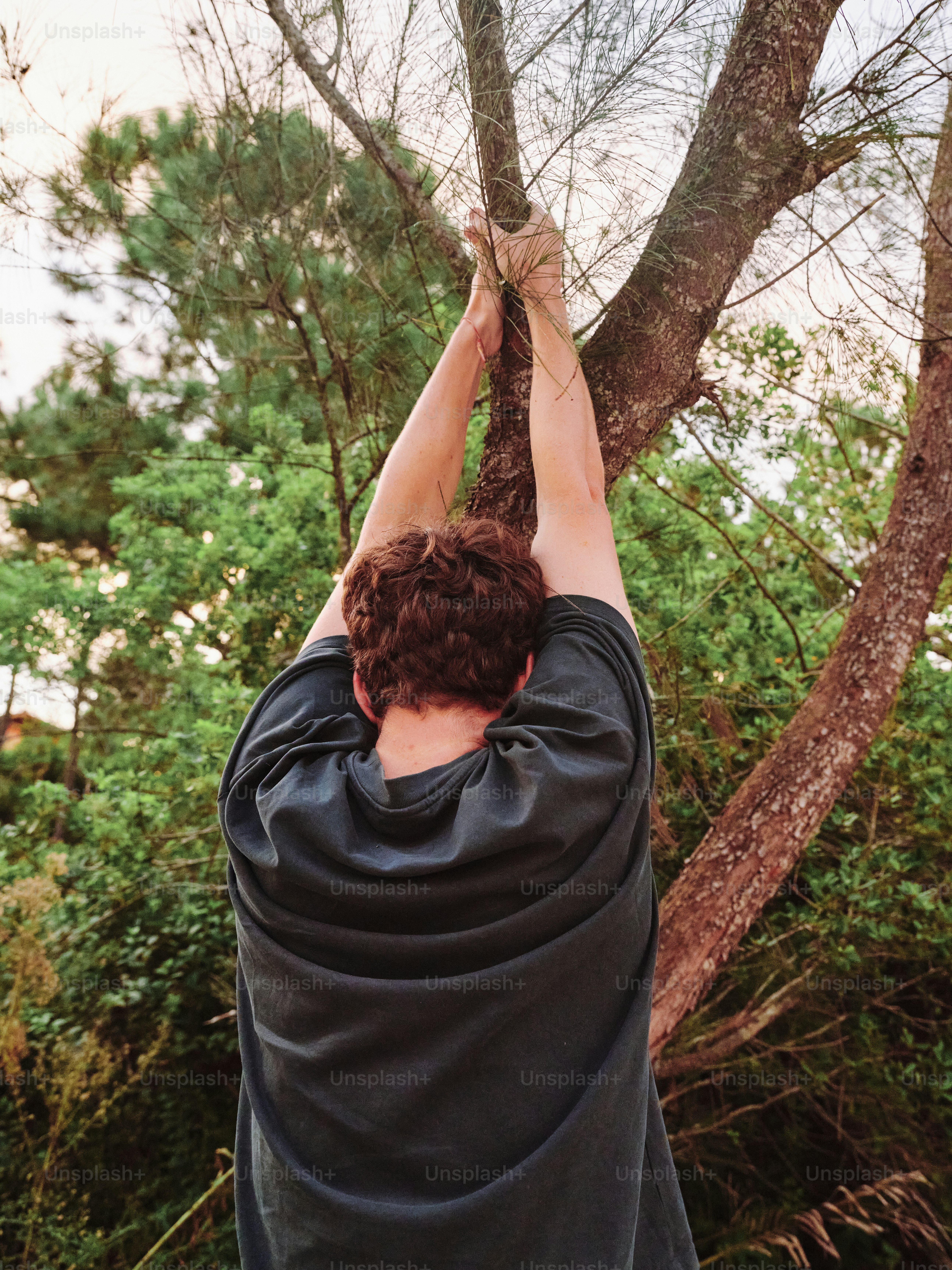 Man stretches and reaches for a tree branch. photo – Adventure Image on ...