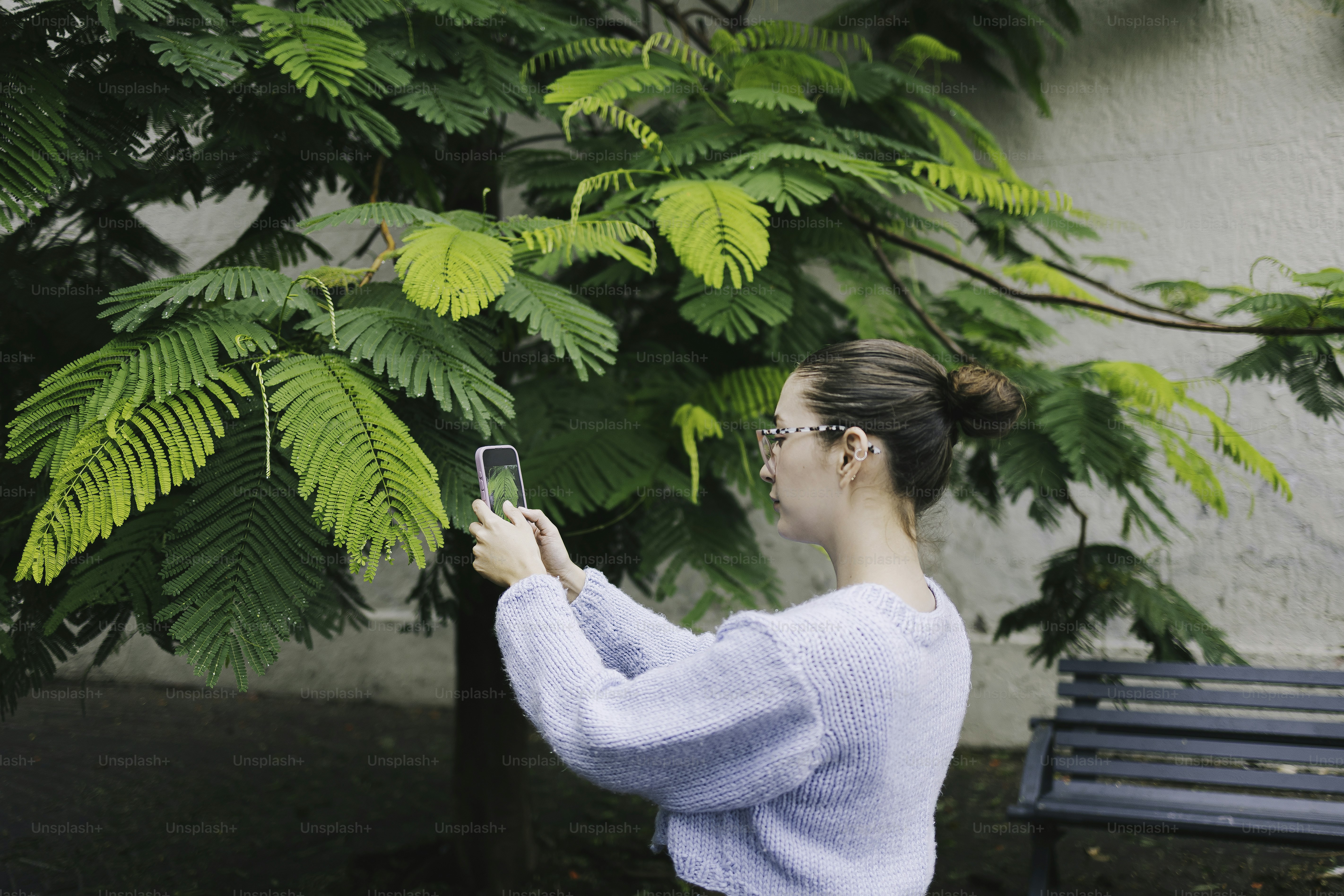 Woman takes a picture of a tree. photo – Technology Image on Unsplash