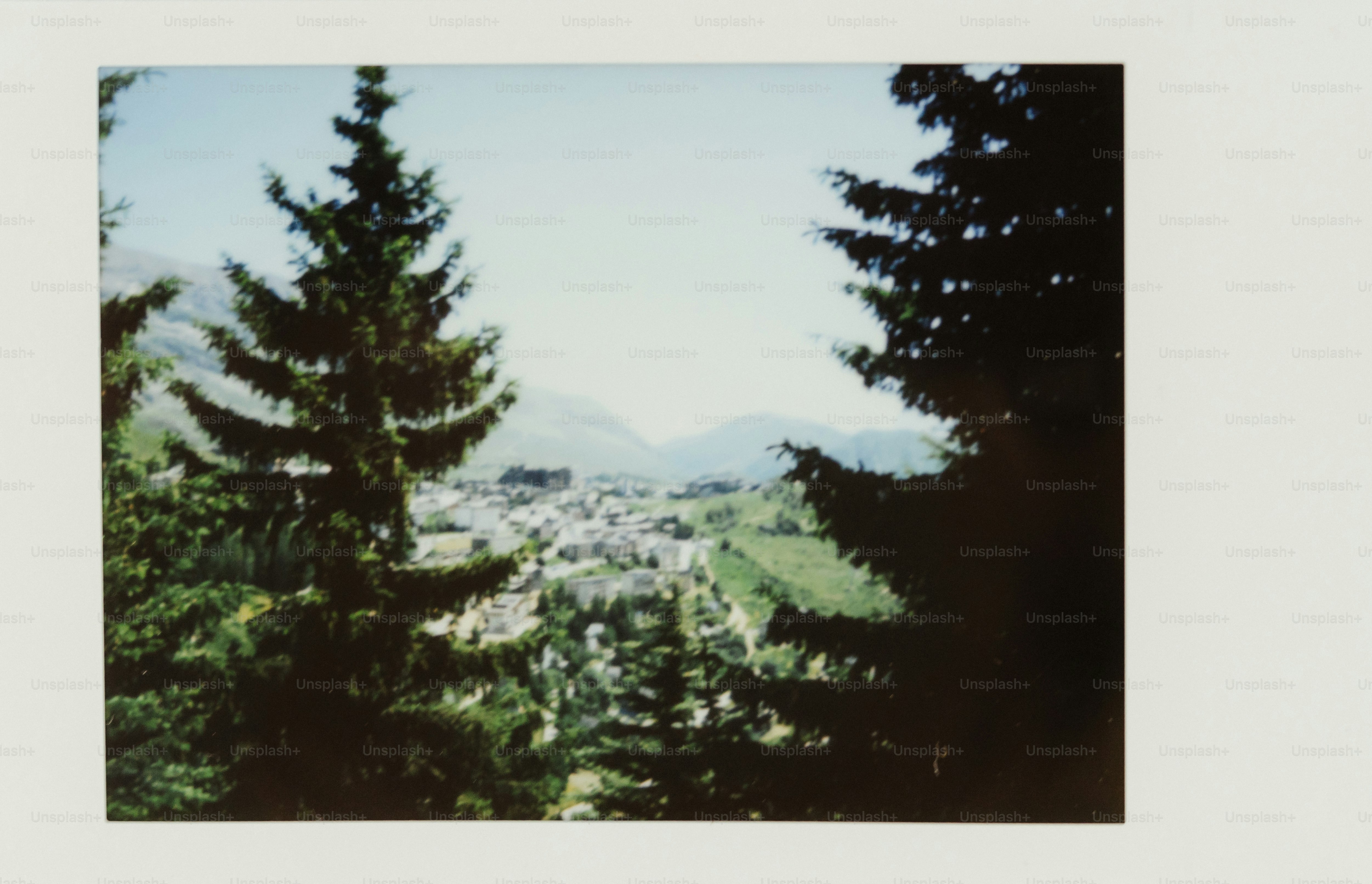 A view of a town through the trees. photo – Film photography Image on ...