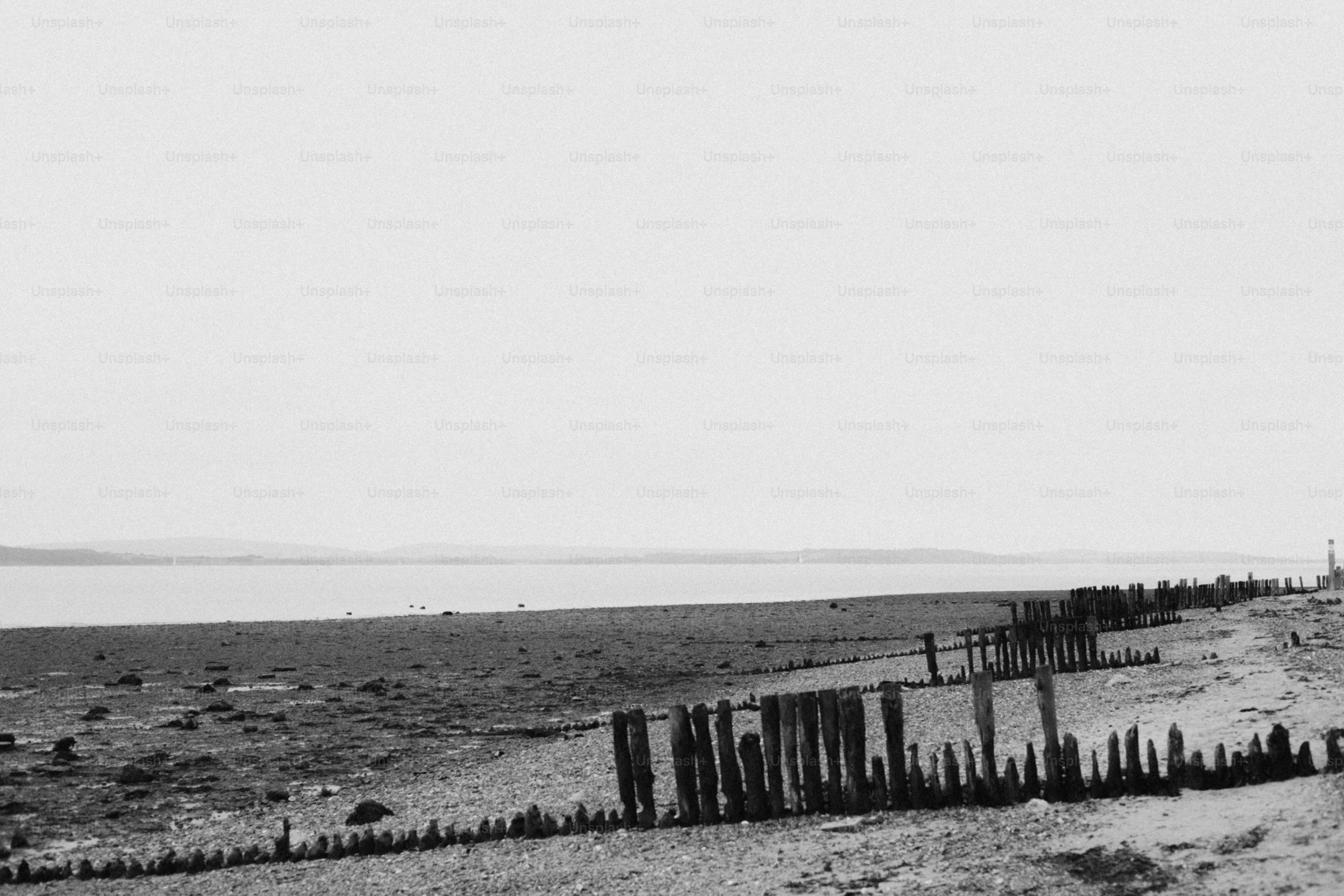 Wooden posts line a beach facing an overcast sky. photo – Beach Image ...