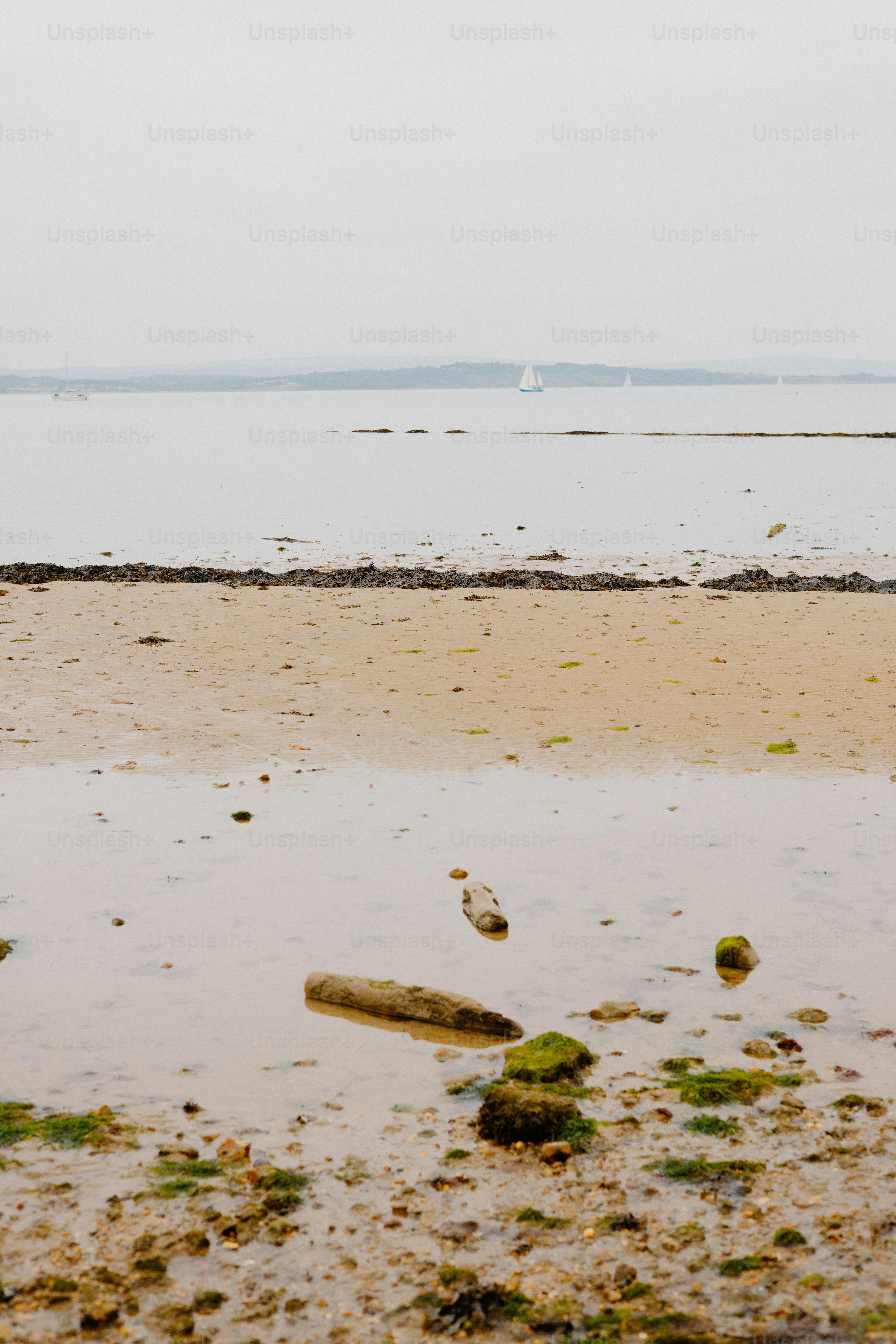 Wooden posts line a beach facing an overcast sky. photo – Beach Image ...