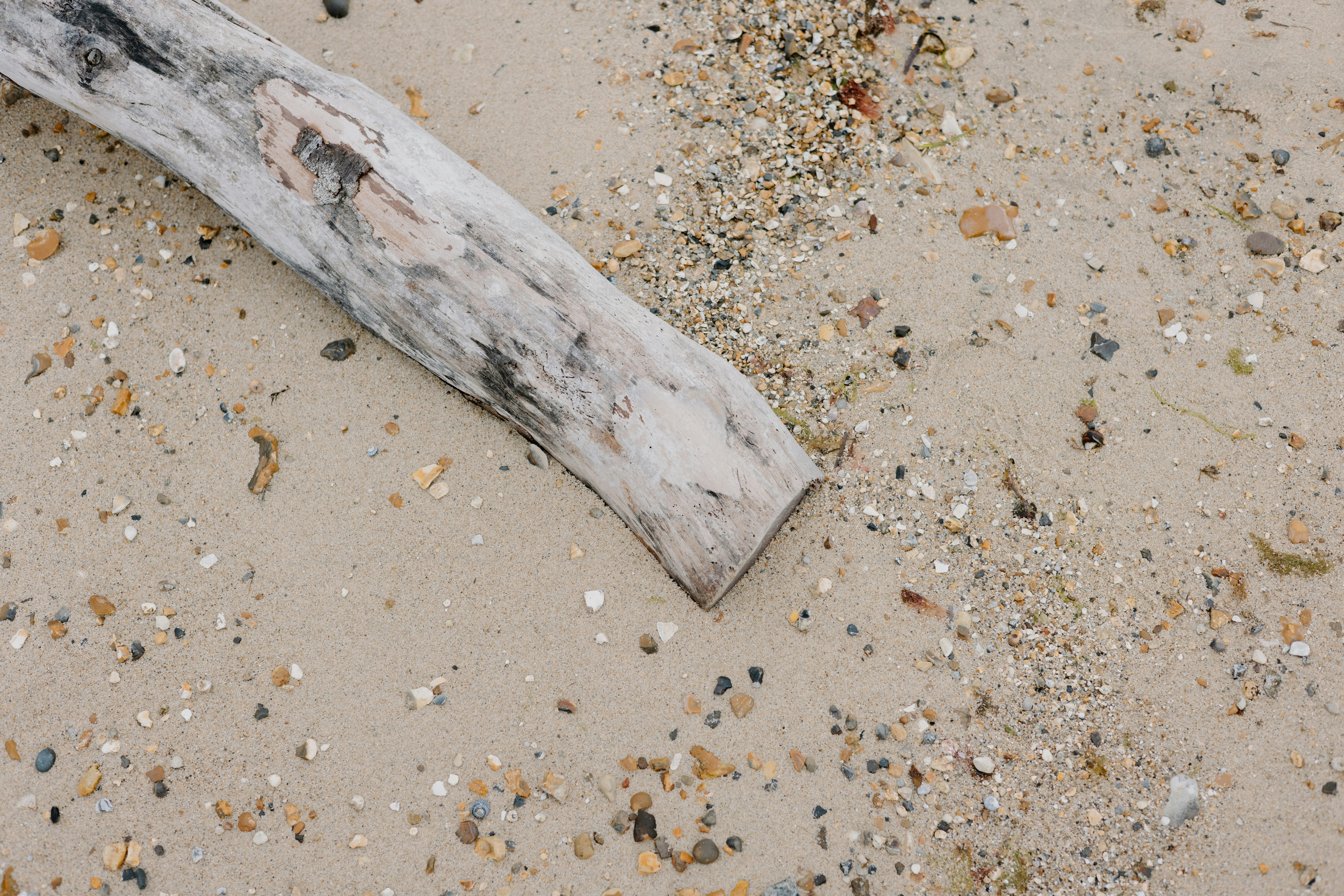 Wooden posts line a beach facing an overcast sky. photo – Beach Image ...