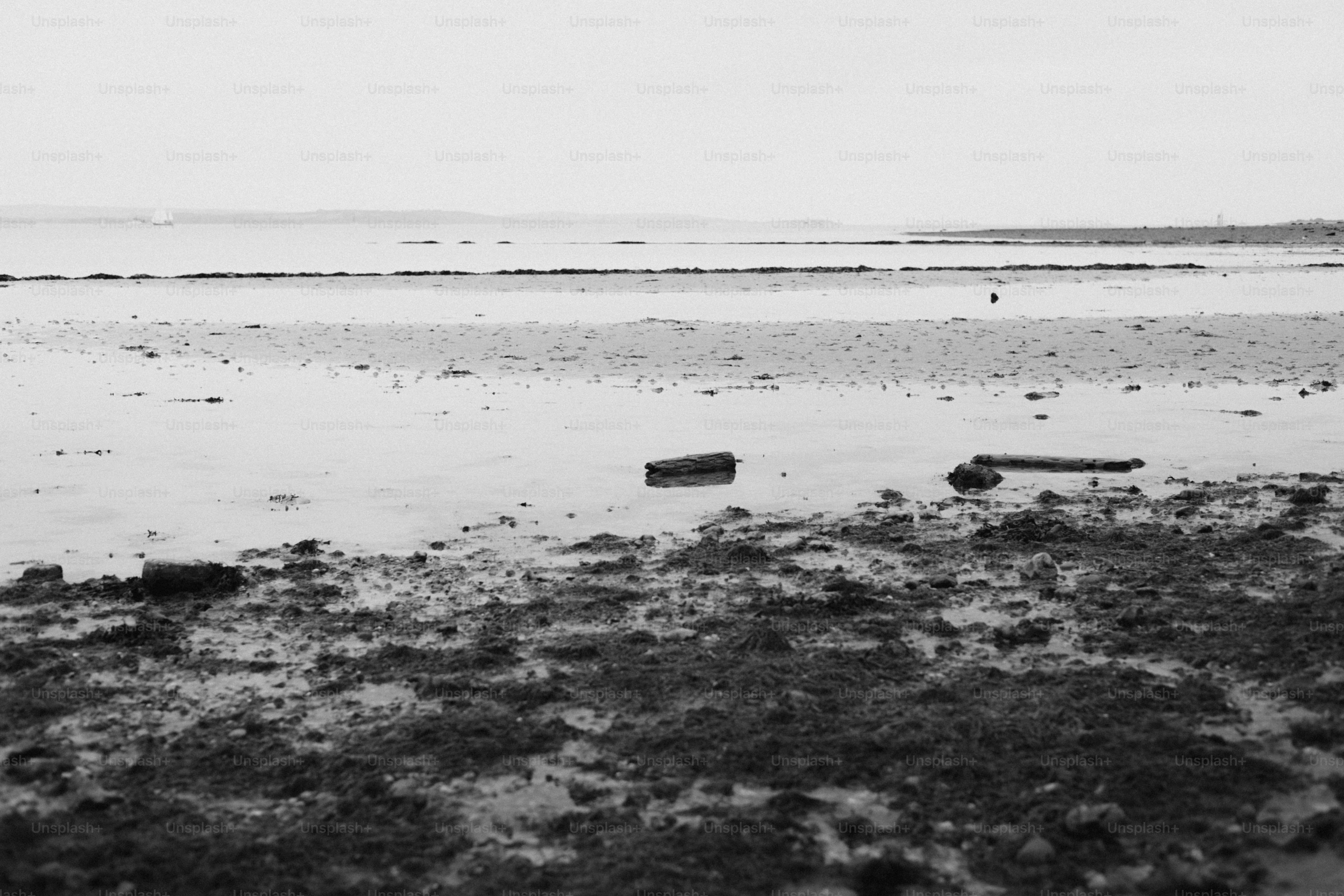 Foto Pantai berlumpur dan lautan yang tenang di hari yang mendung ...