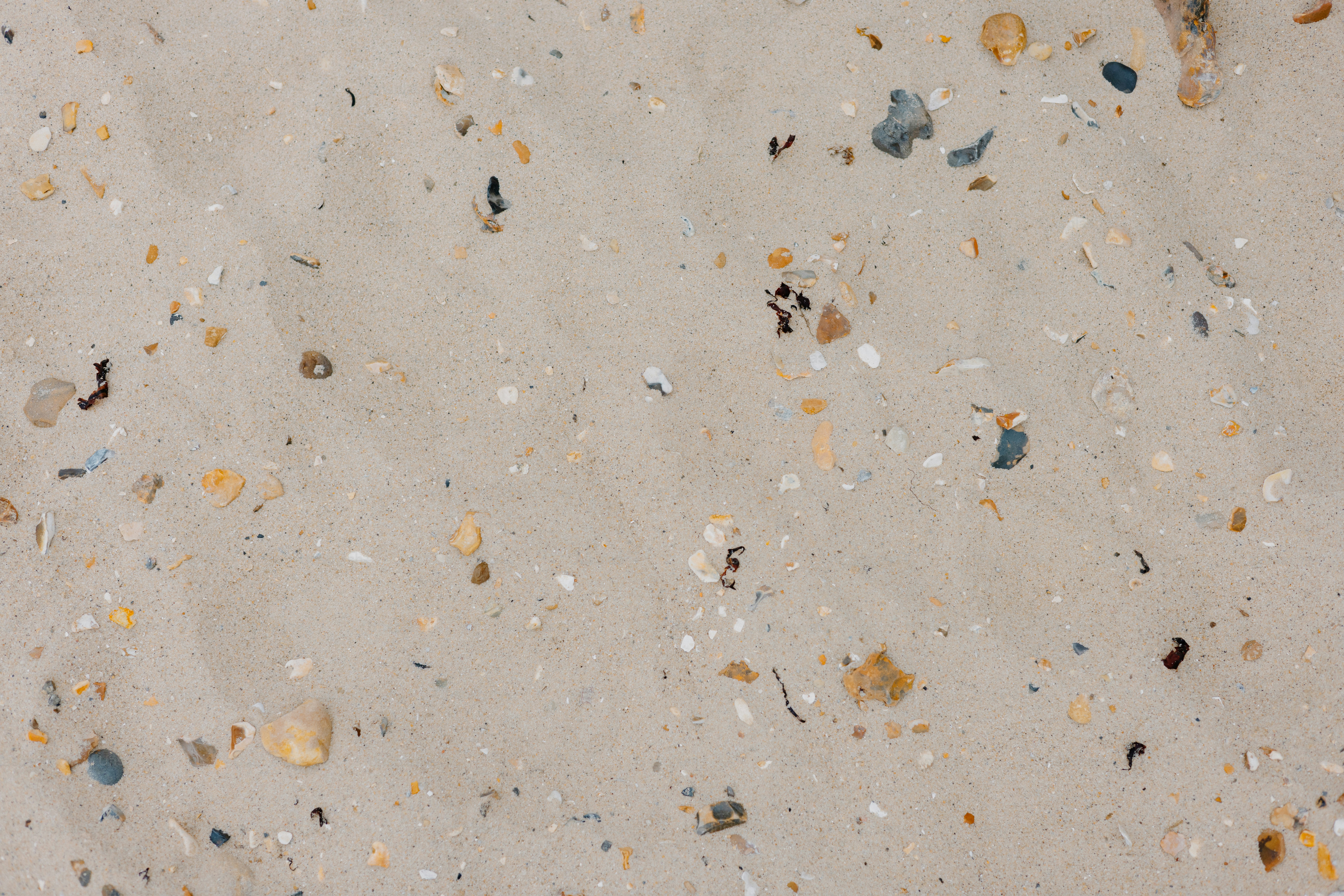 Sand with pebbles and shells. photo – Beach Image on Unsplash