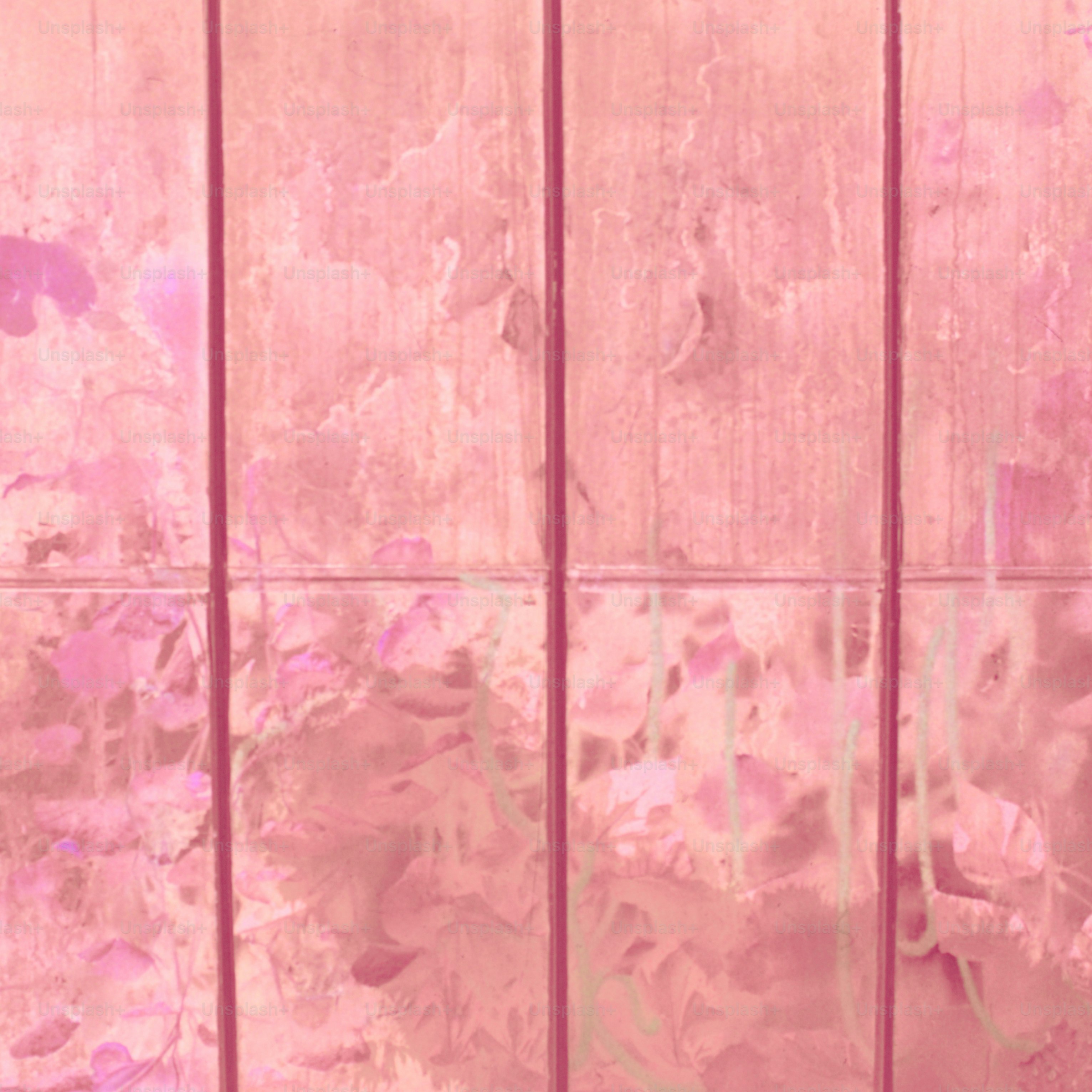 Pink panels appear to feature a floral design. photo – Pink Image on ...