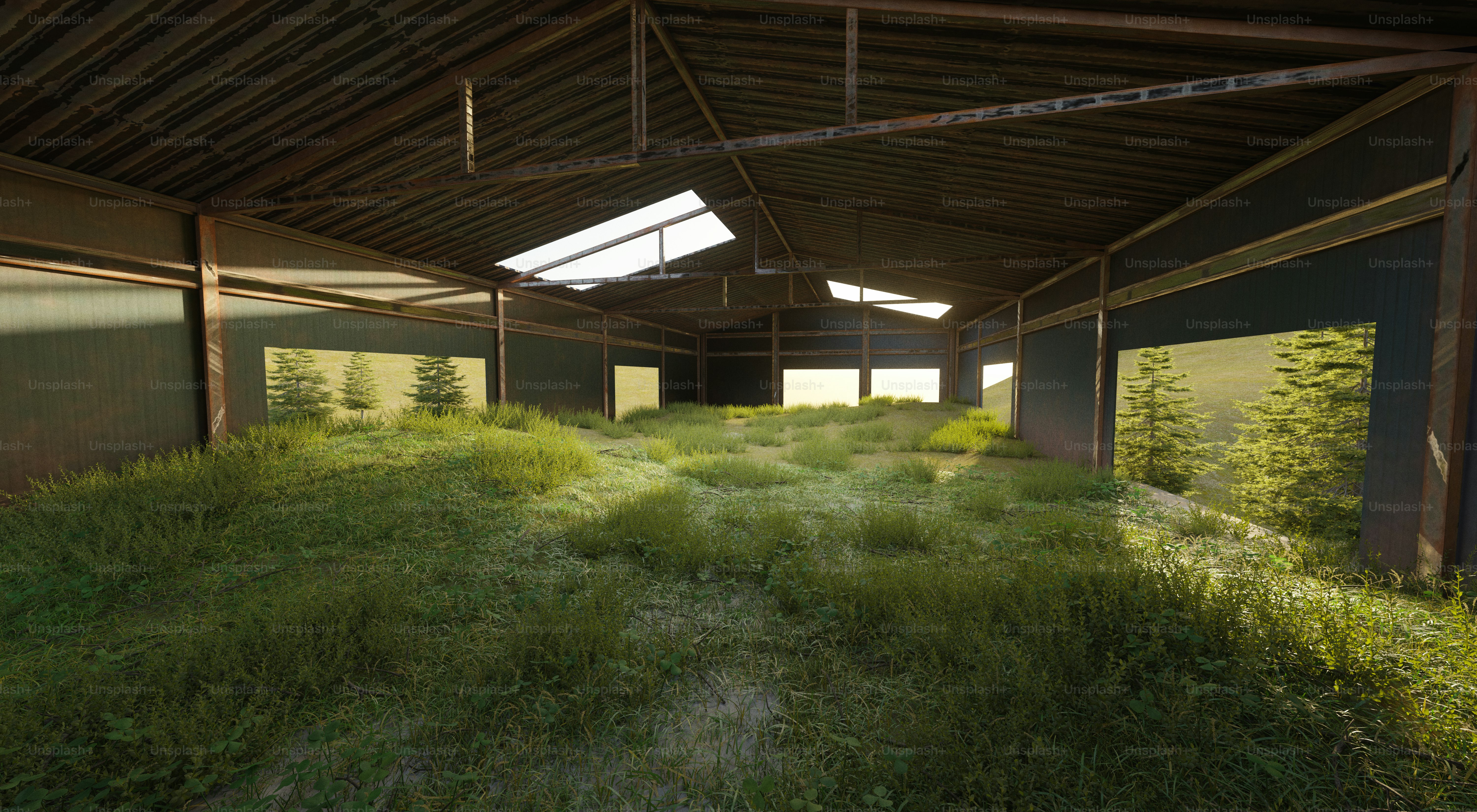 Grassy interior of an old, dilapidated shed. photo – Indoor Image on ...