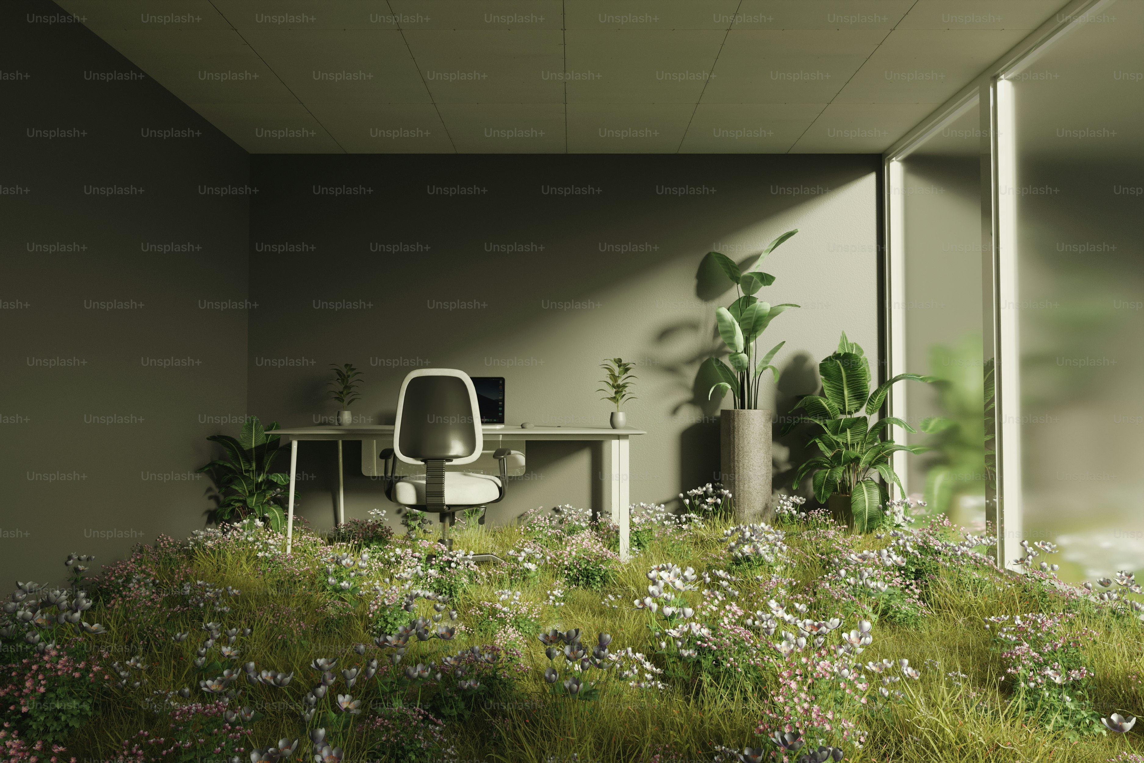 Office space with overgrown grass and plants. photo – Outdoor Image on ...