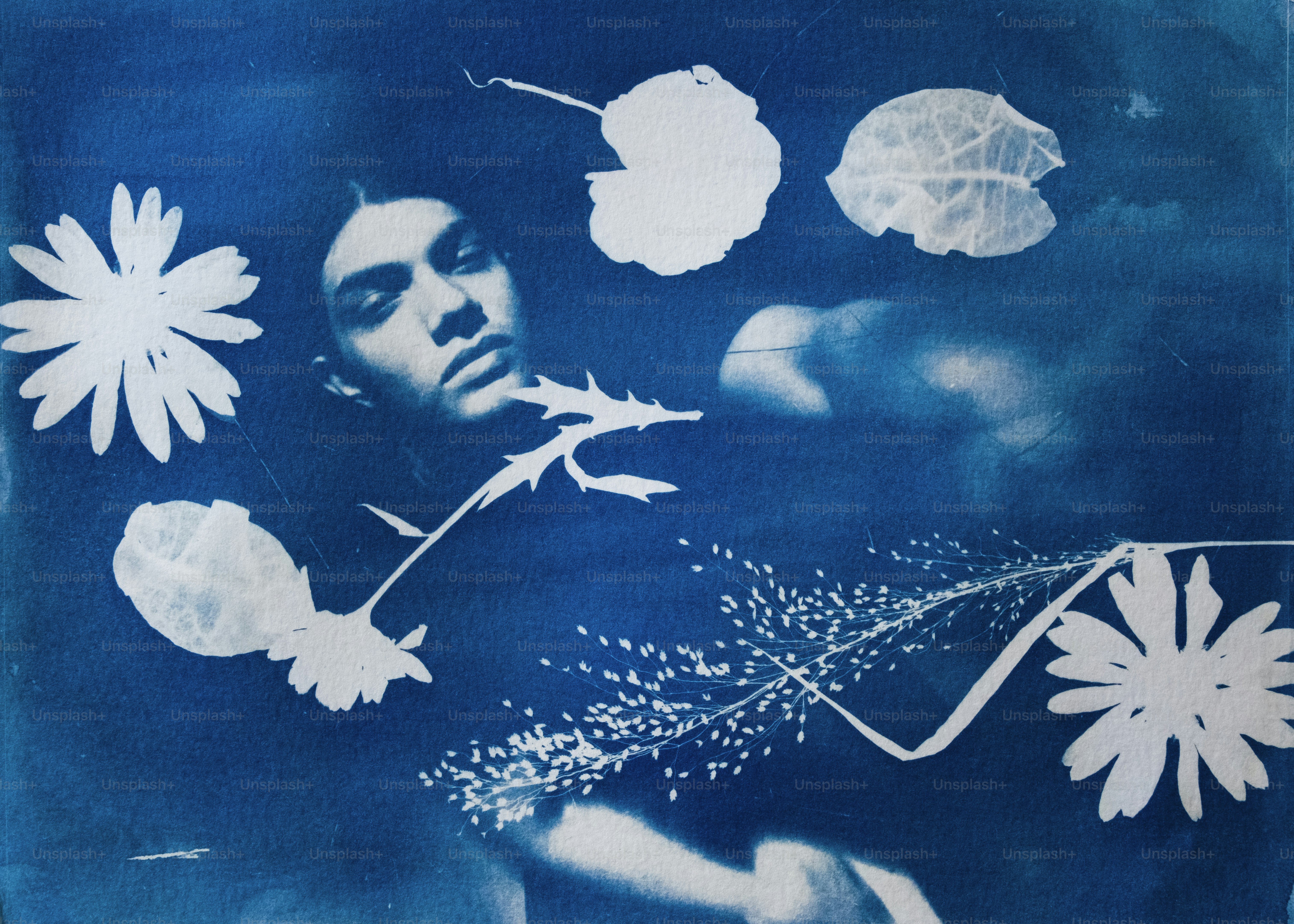 A blue cyanotype features a woman and flora. photo – Cyanotype Image on ...