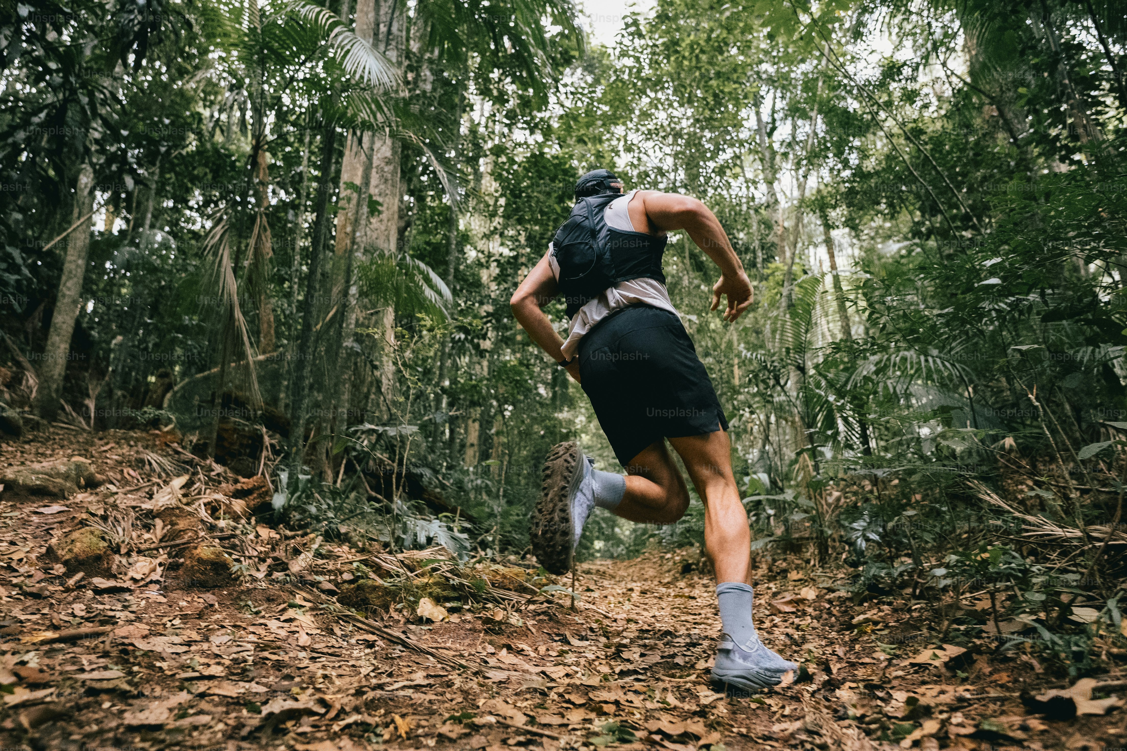 Runner sprints through a forest on a sunny day. photo – Sport Image on ...