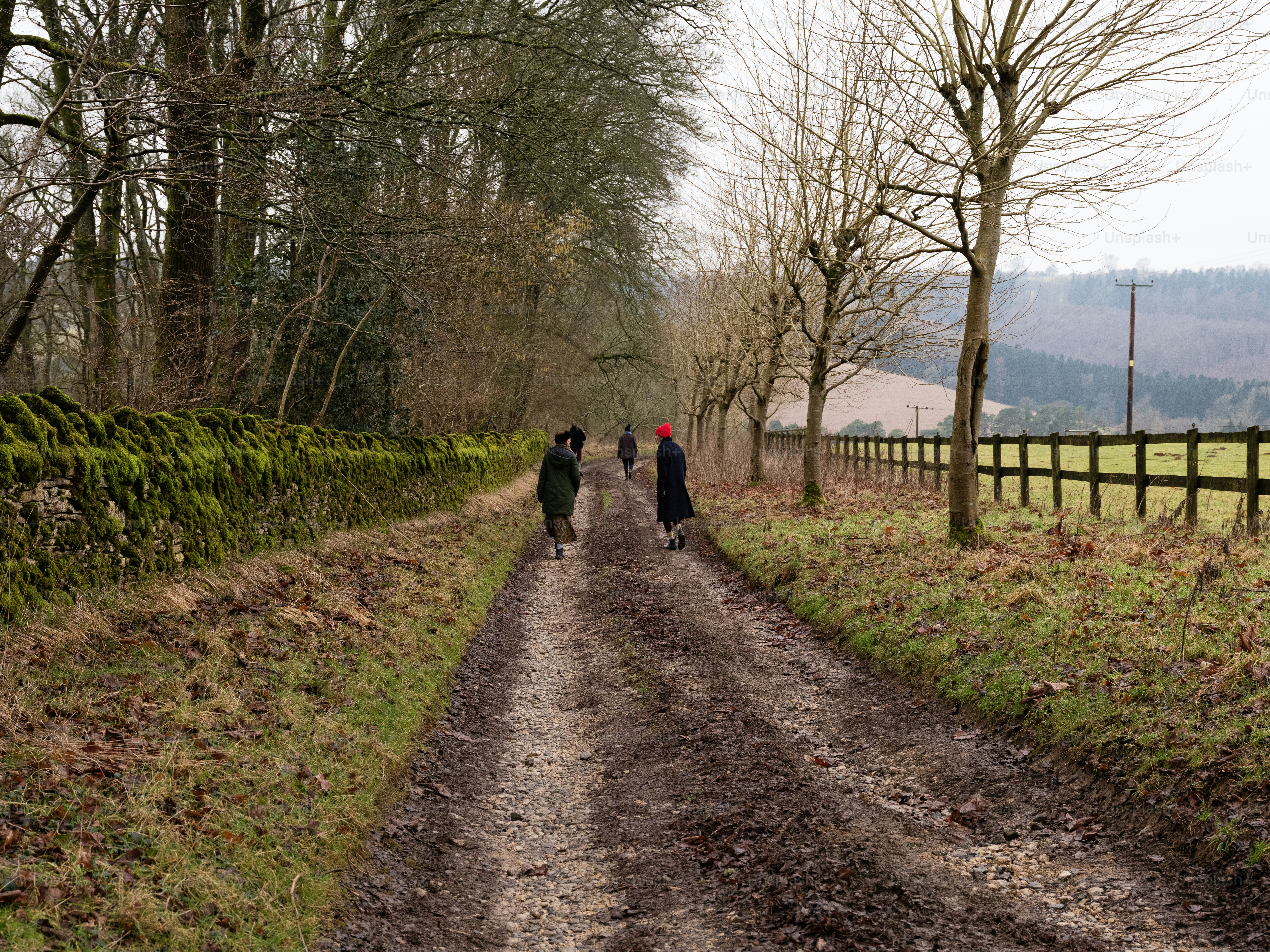 Fanny Beckman (@fannybeckman) | Communauté photos Unsplash