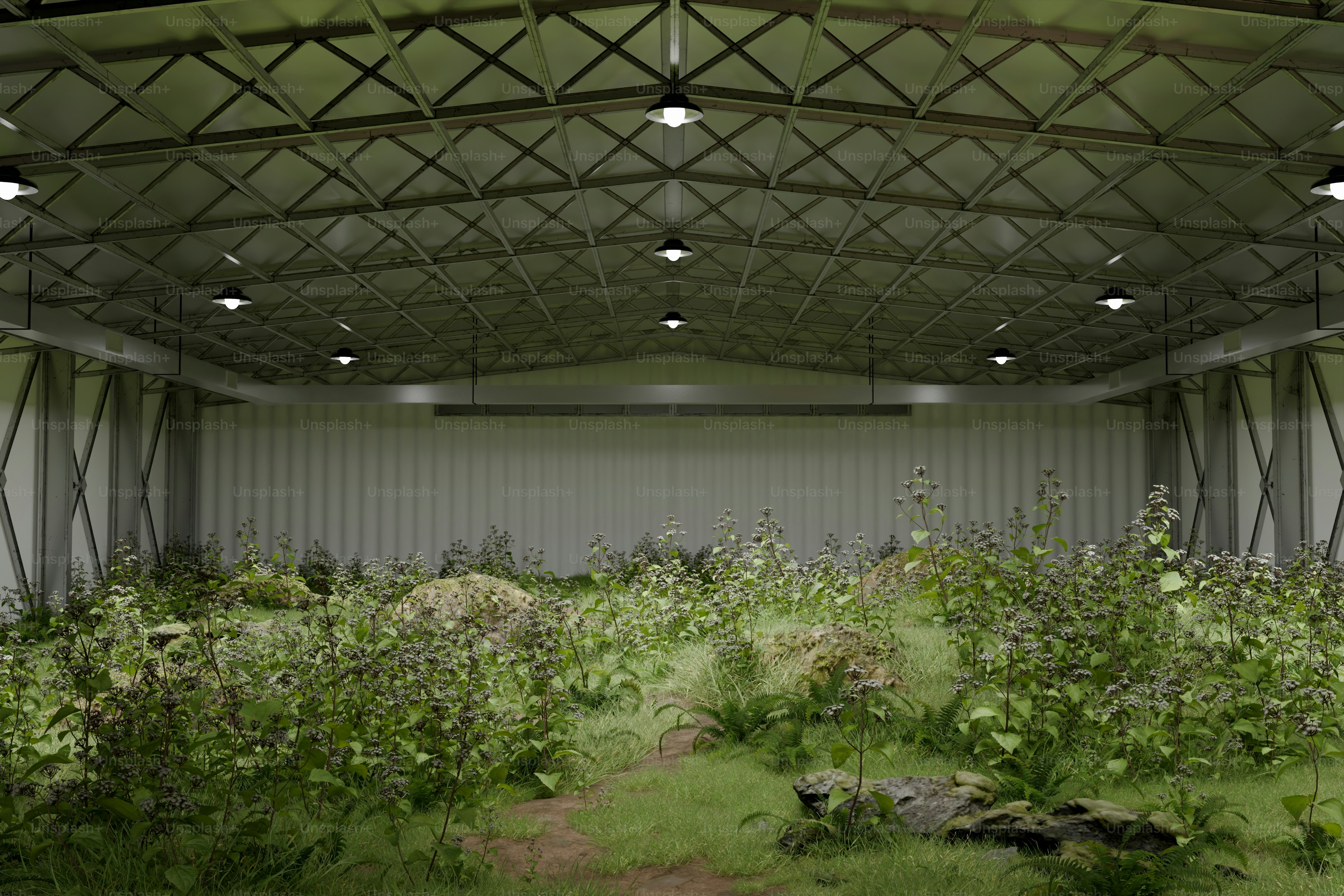 Las plantas crecidas llenan el espacio de un hangar industrial. foto ...