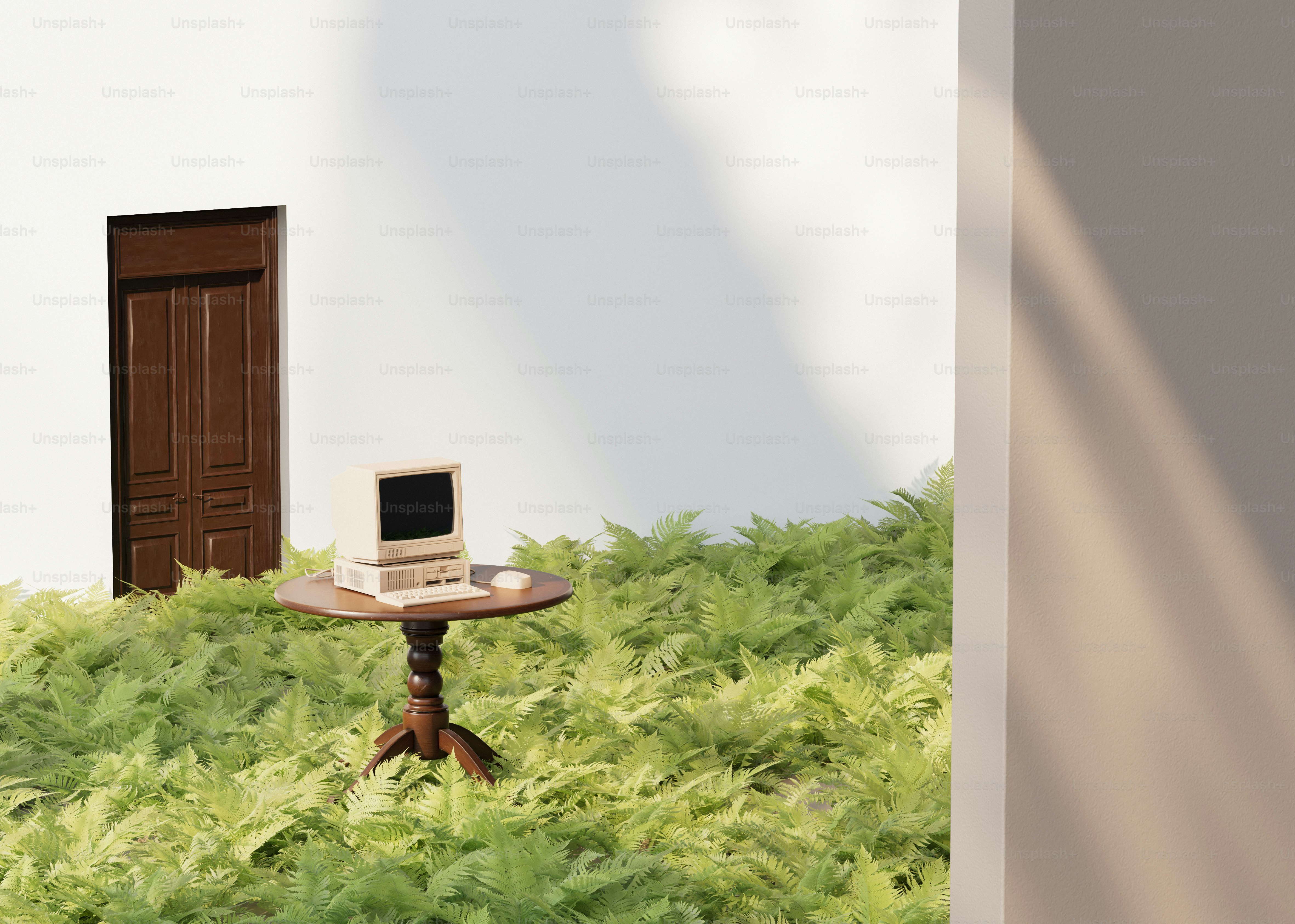 A vintage computer sits outside, surrounded by plants. photo – Indoor ...