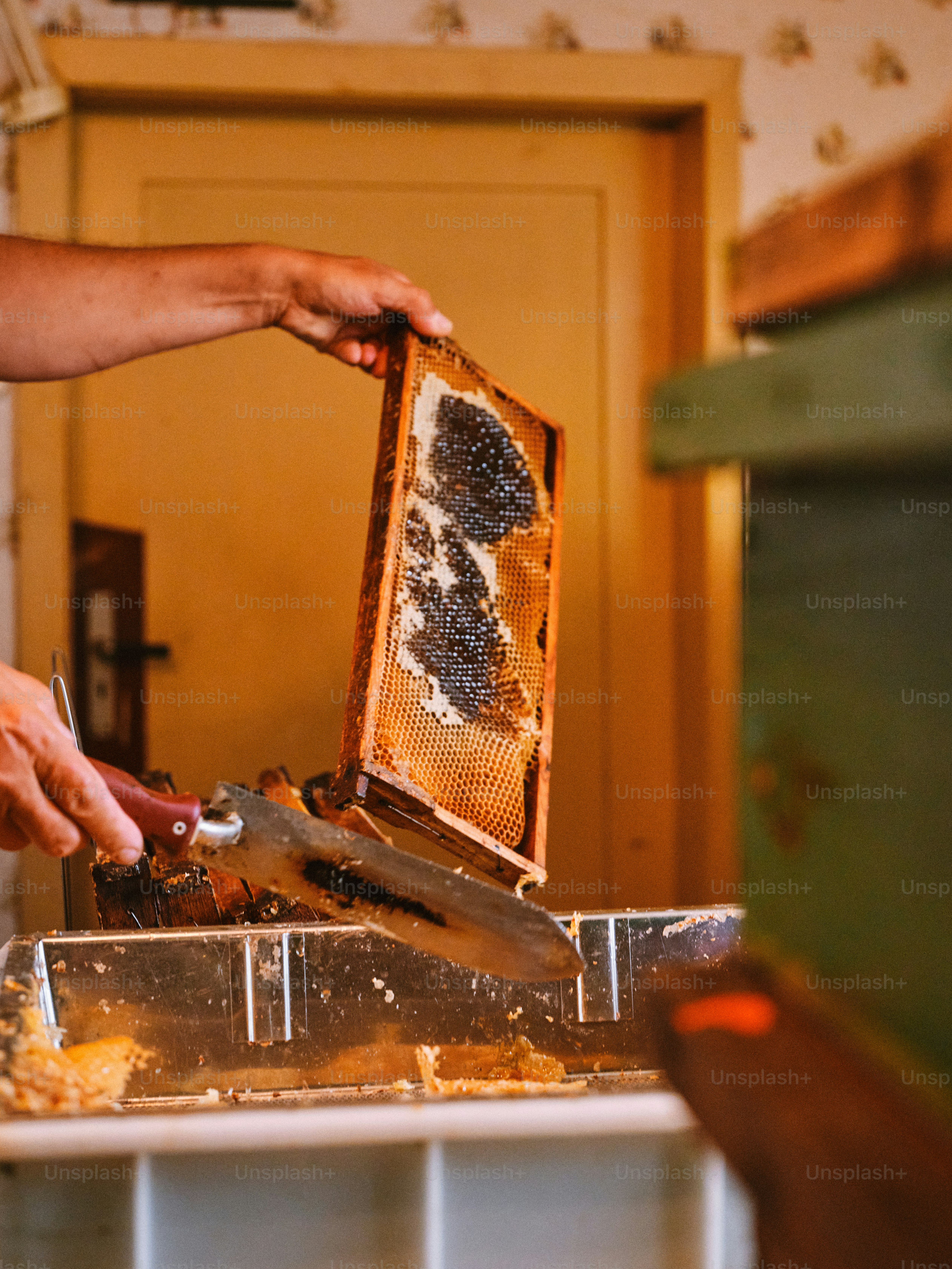 Beehive components are shown open. photo – Honey Image on Unsplash