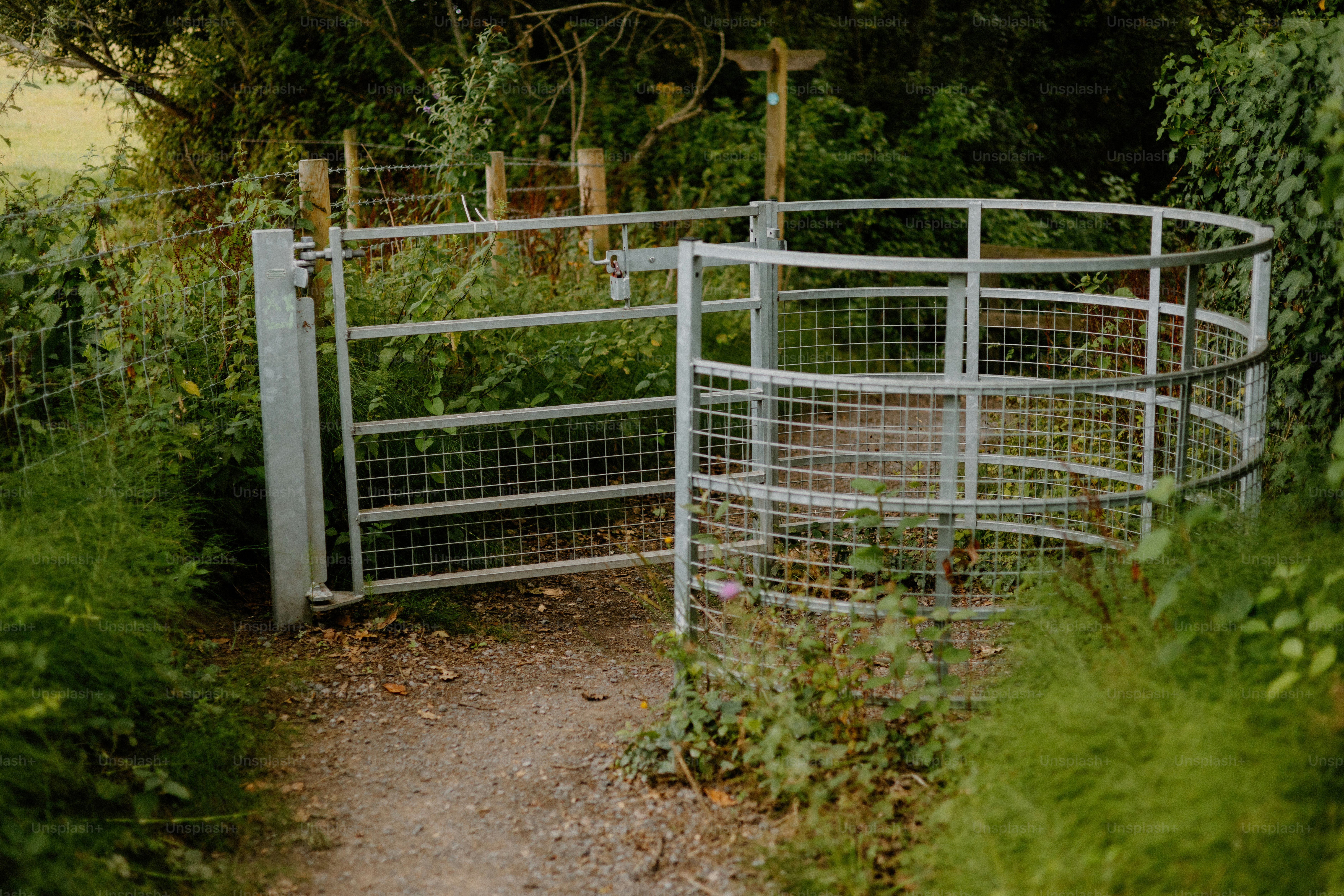 A metal gate leads into a green path. photo – Countryside Image on Unsplash