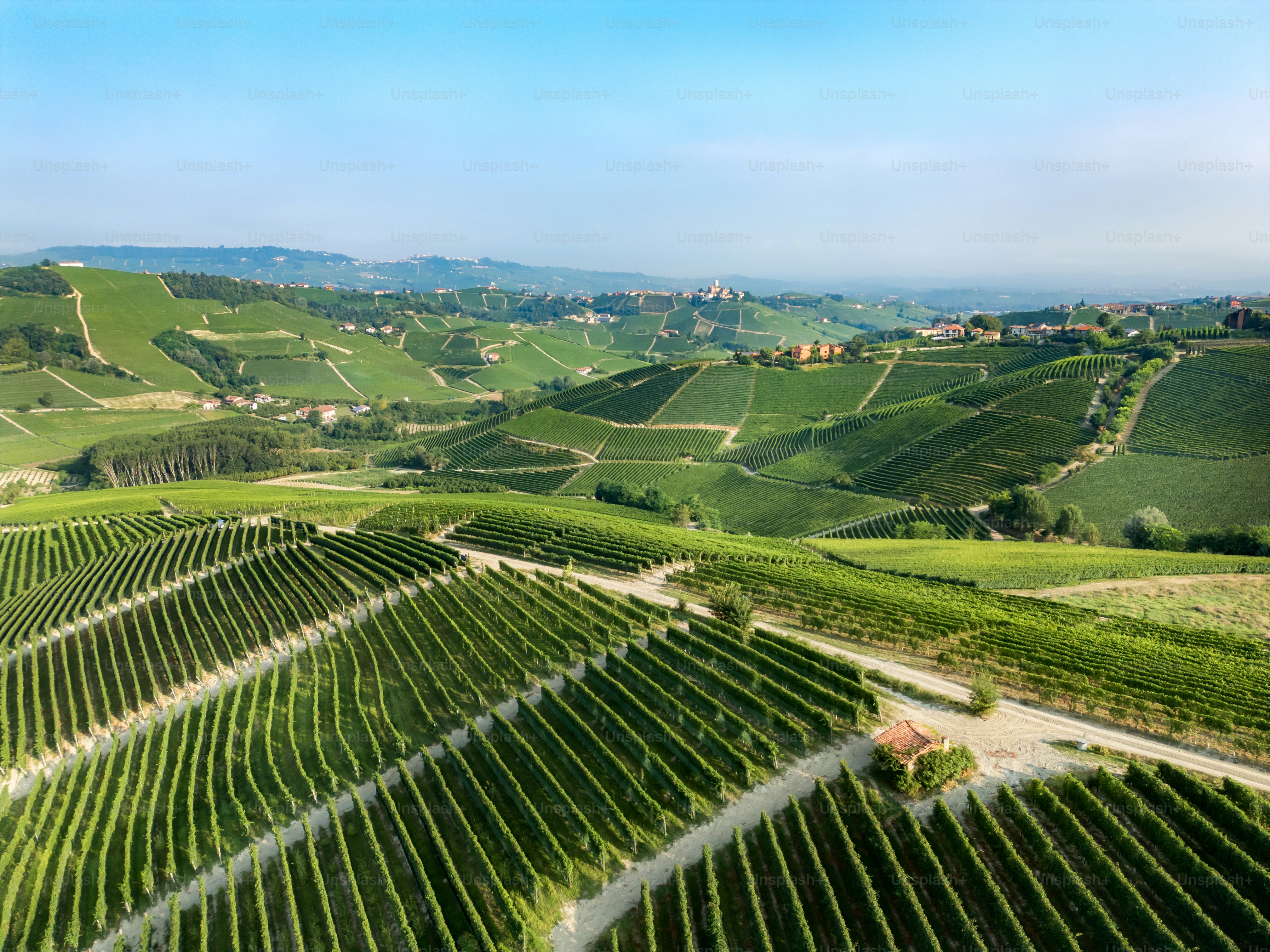 Serralunga d'Alba, vineyards from drone, Piedmont photo – Blue Image on ...