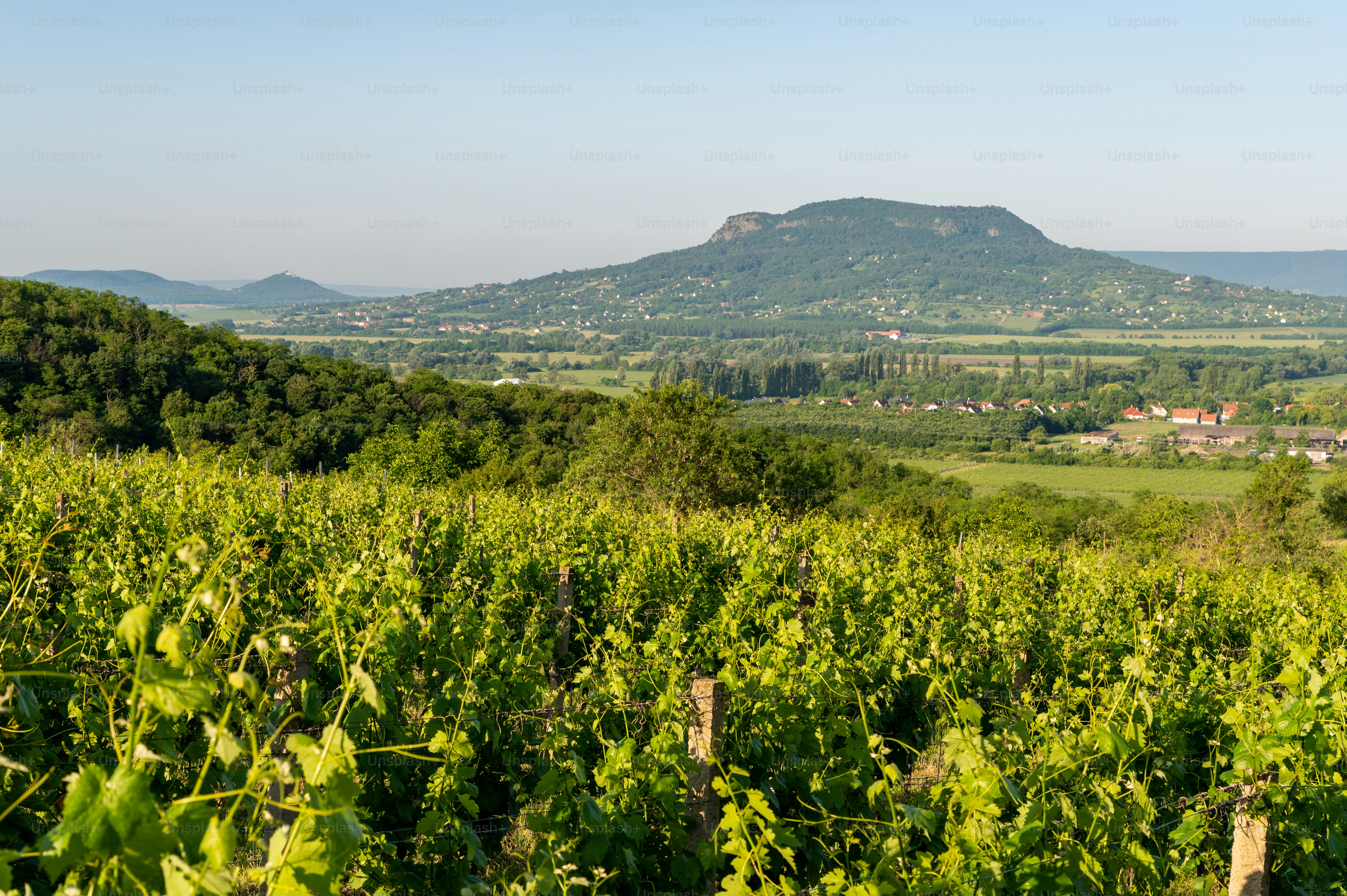 Bilder zum Thema Landtal | Kostenlose Bilder auf Unsplash herunterladen