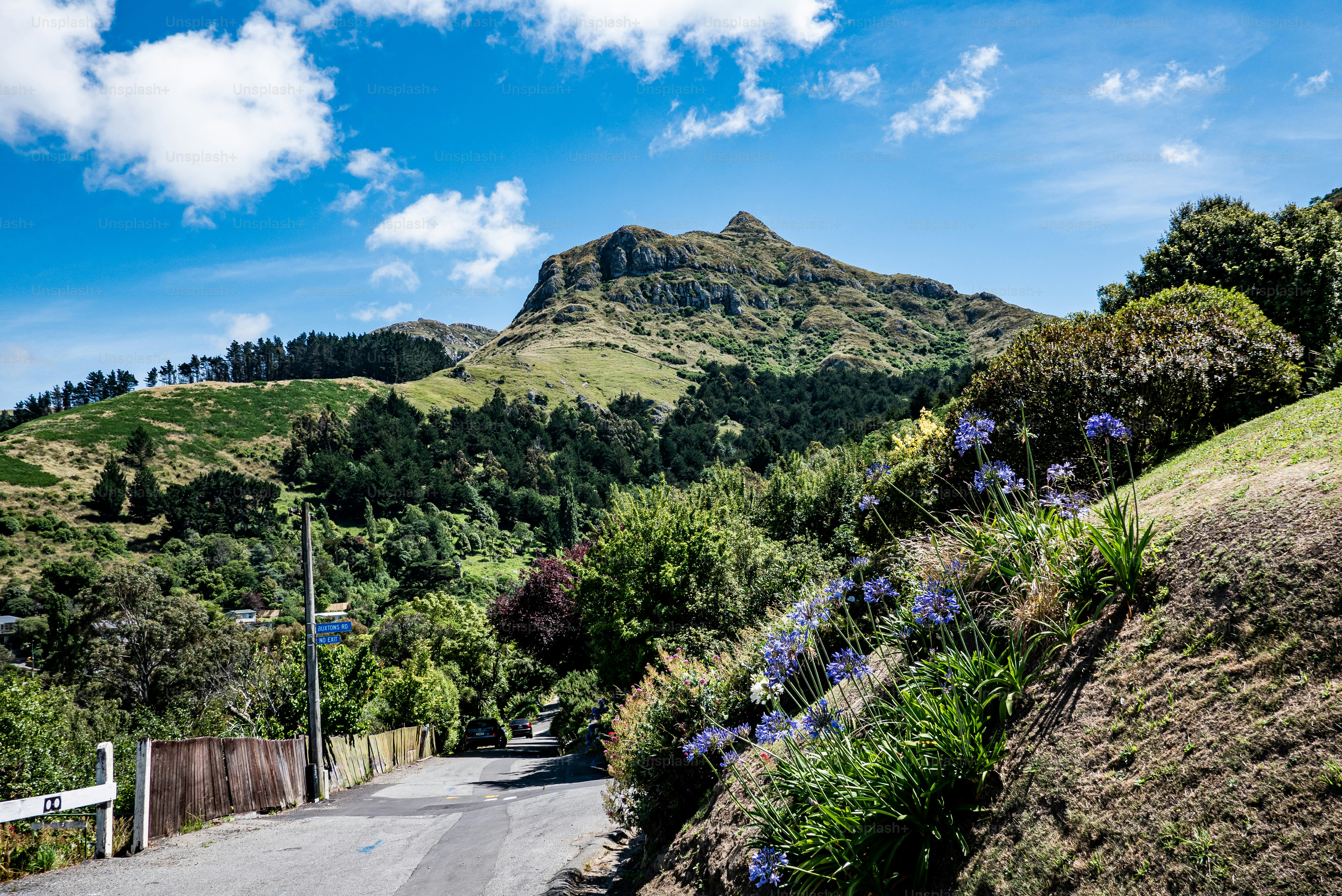Beautiful mountainous landscape hills new zealand summer green yellow ...