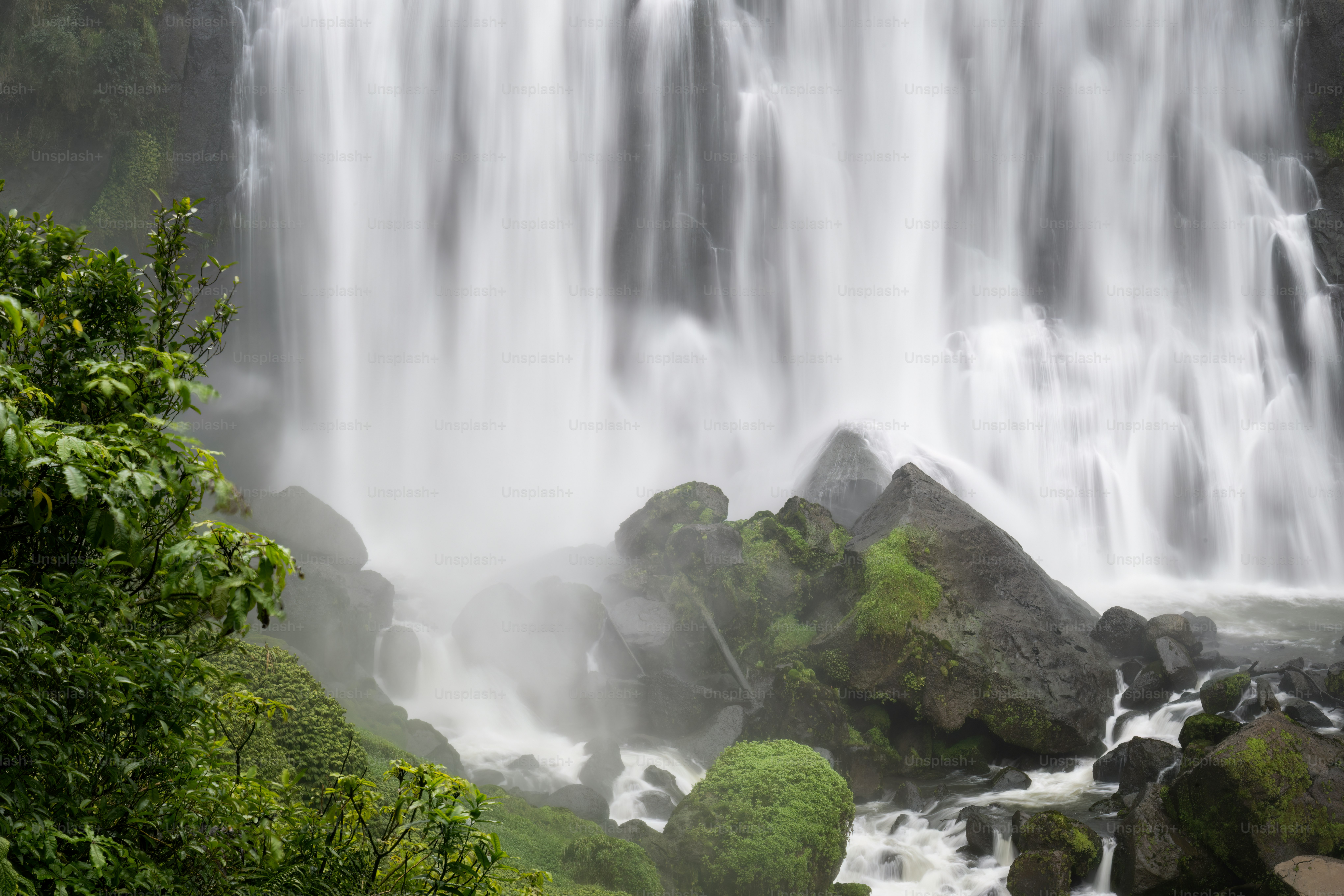 35m high Marokopa Falls in the Waitomo area. Waikato. North Island. New ...