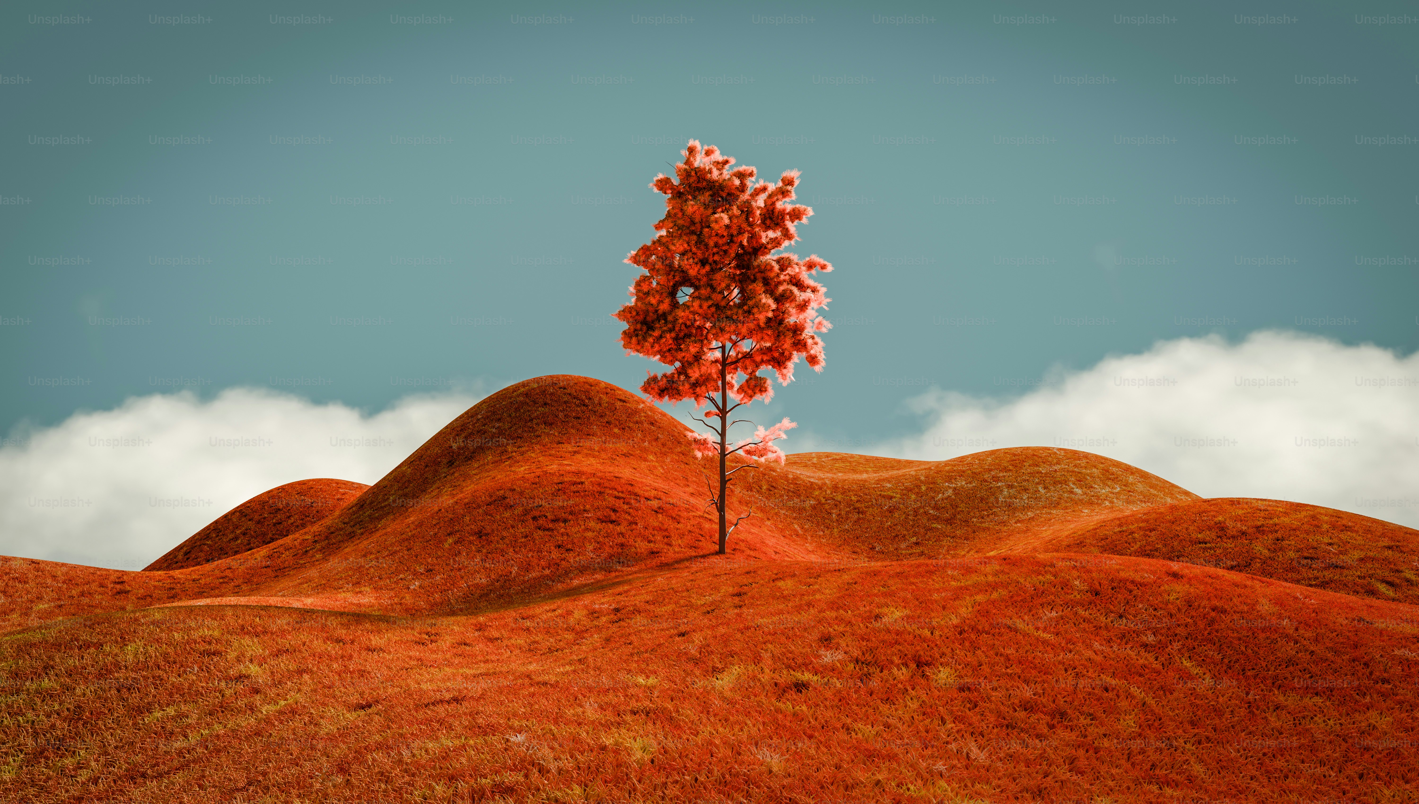 A solitary tree stands on an orange landscape. photo – Autumn Image on ...