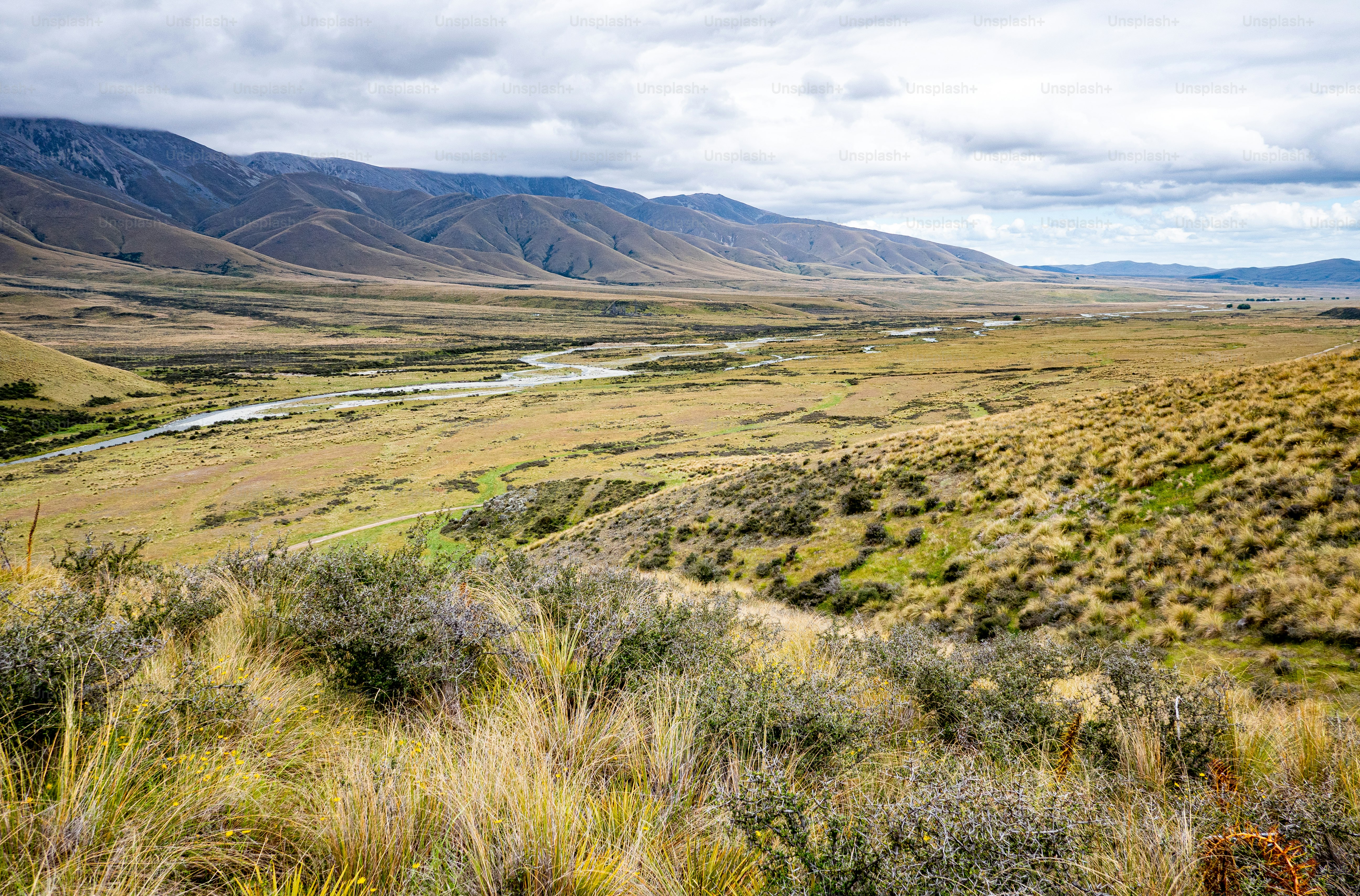 Beautiful mountainous landscape hills new zealand summer green yellow ...