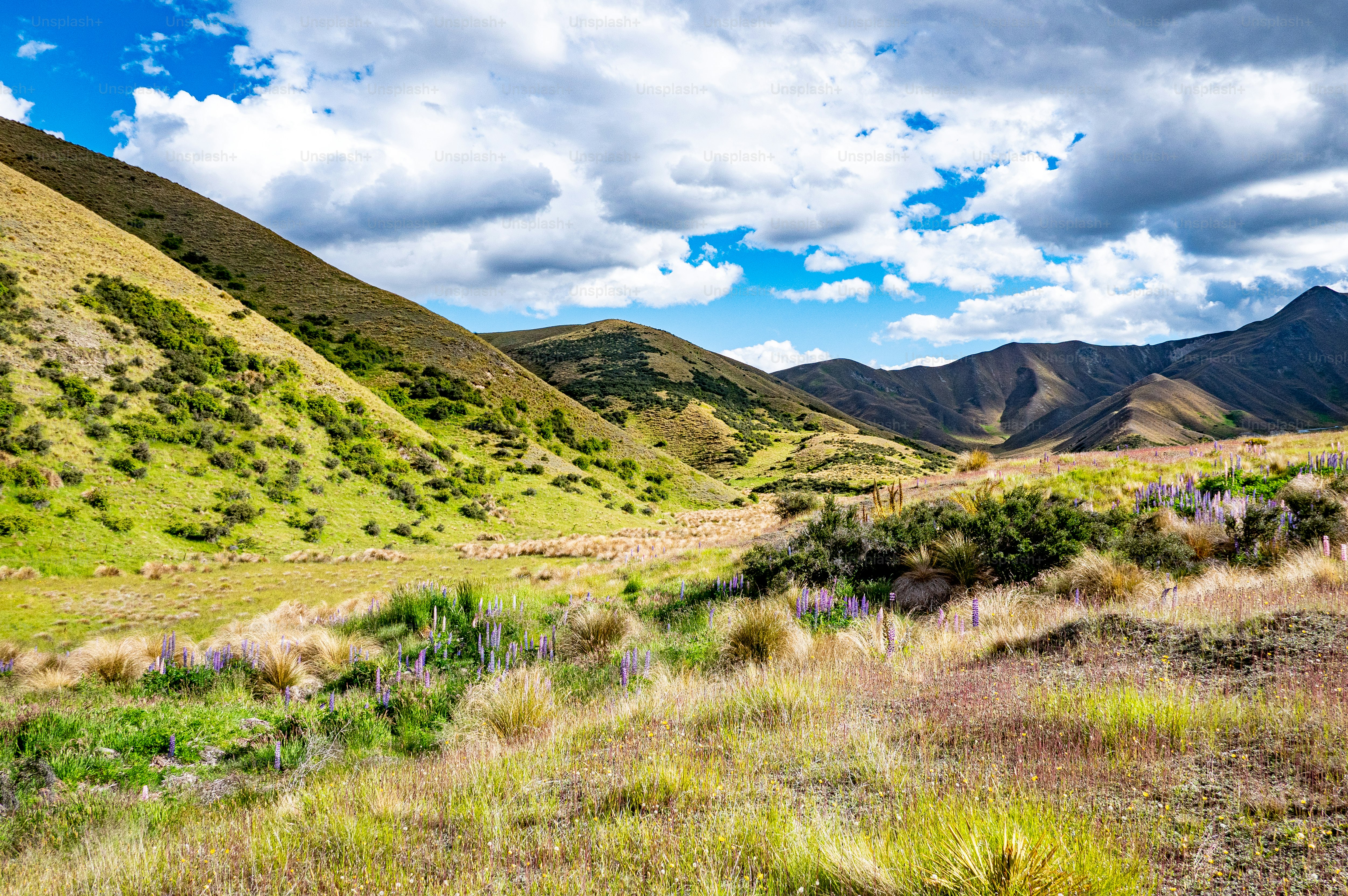 Beautiful mountainous landscape hills new zealand summer green yellow ...