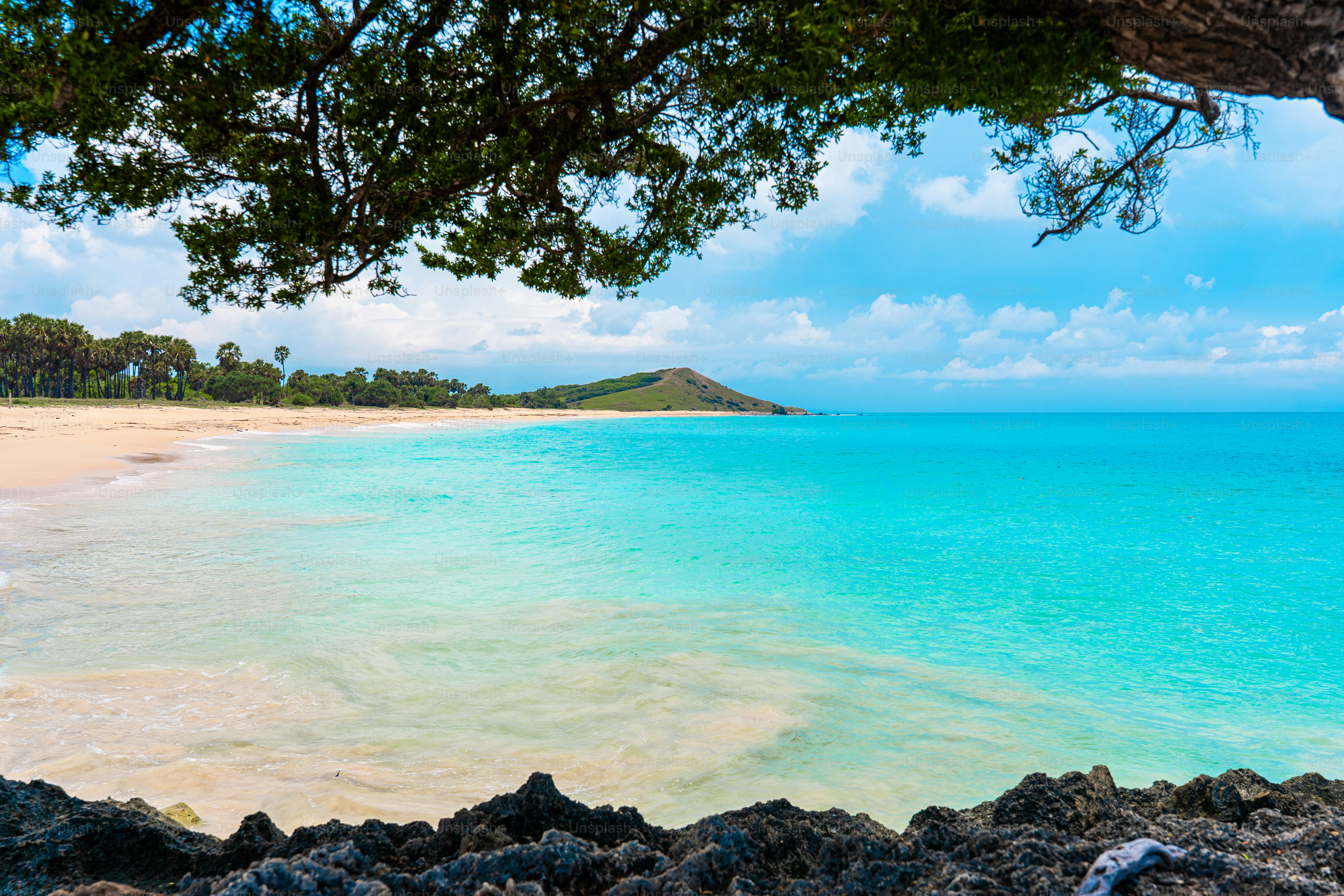 Calm turquoise waves roll over soft white sand on a sunny tropical ...