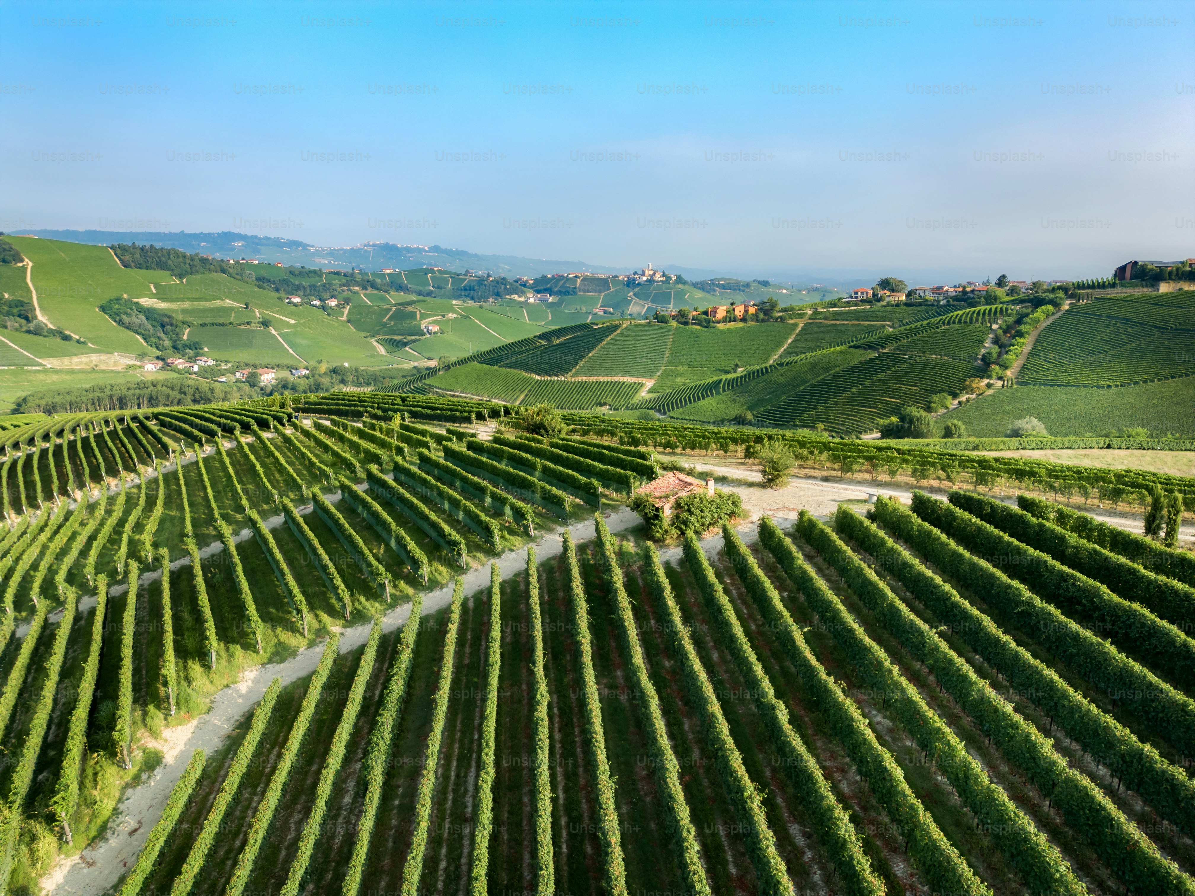 Serralunga d'Alba, vineyards from drone, Piedmont photo – Blue Image on ...