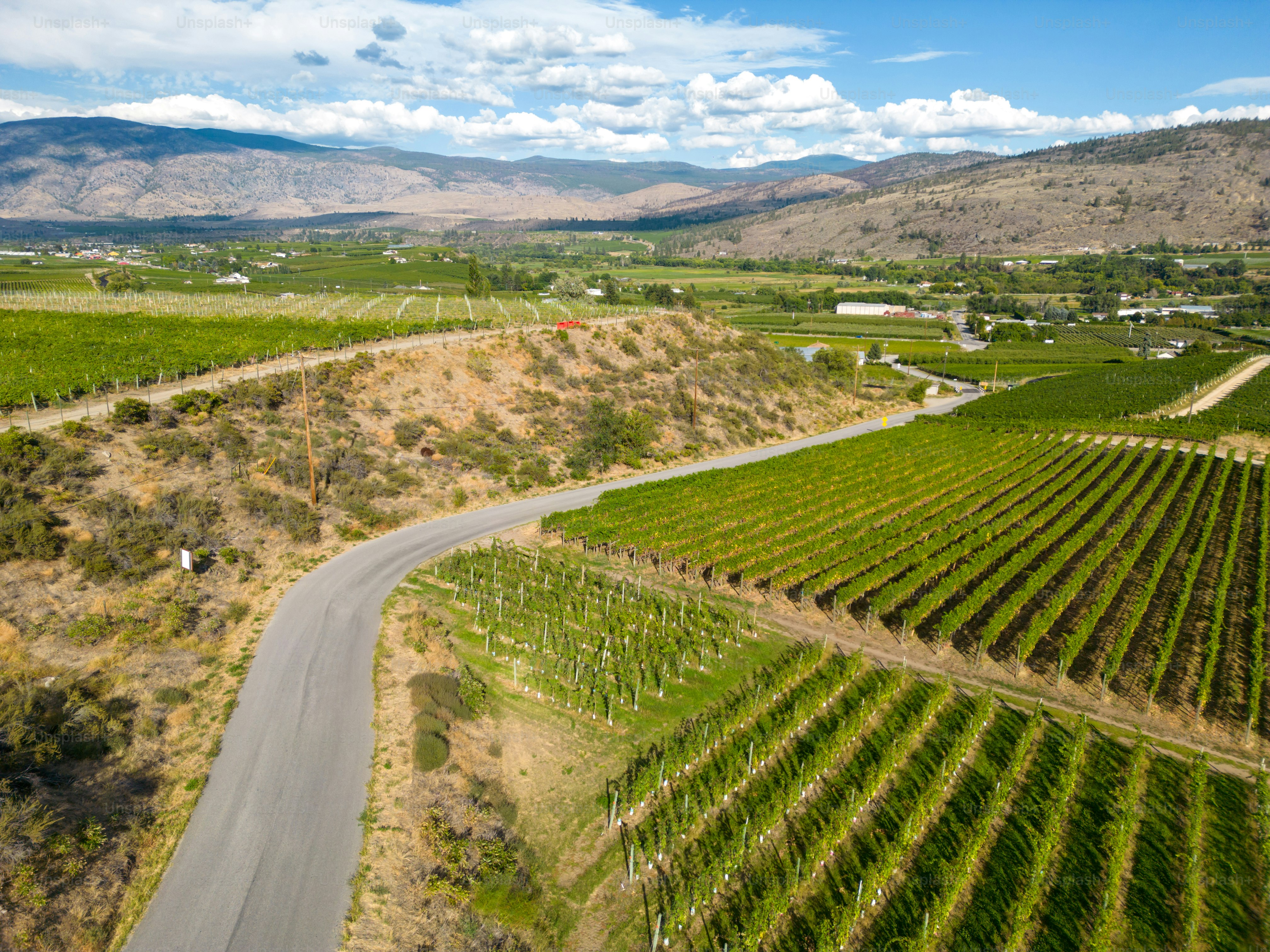 Vista aérea con dron del paisaje canadiense de un viñedo de bodega ...