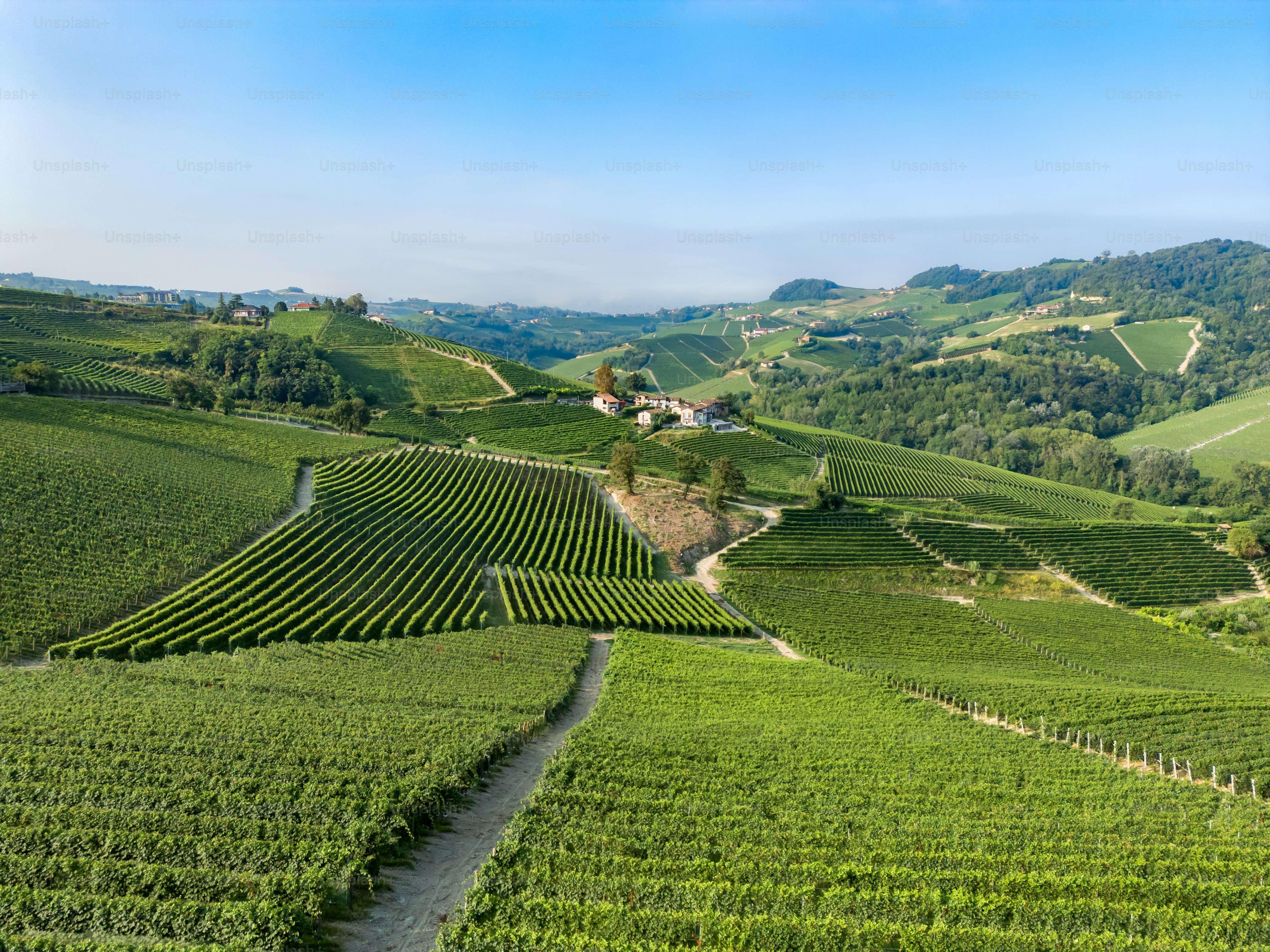 Serralunga d'Alba, vineyards from drone, Piedmont photo – Blue Image on ...