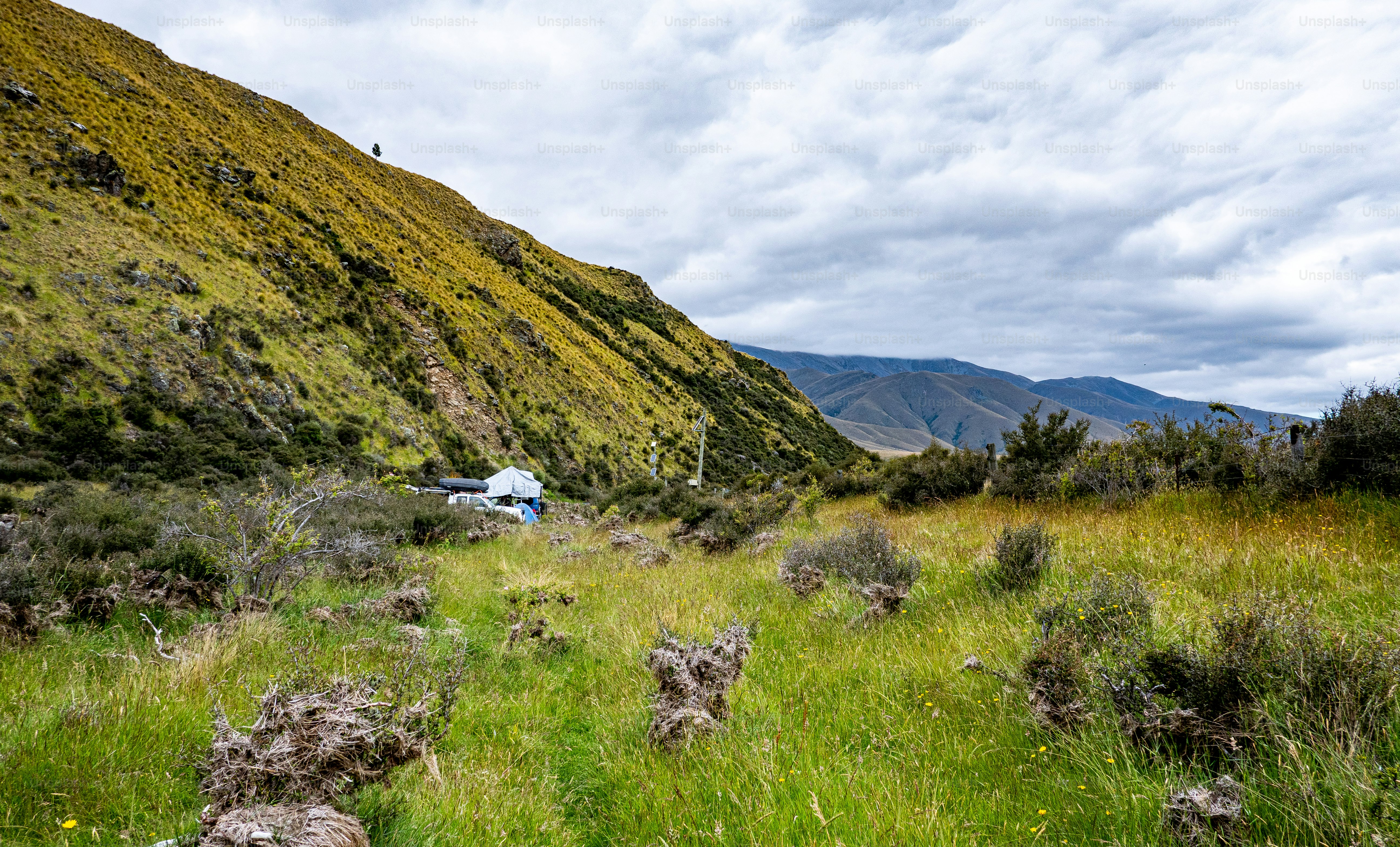 Beautiful mountainous landscape hills new zealand summer green yellow ...