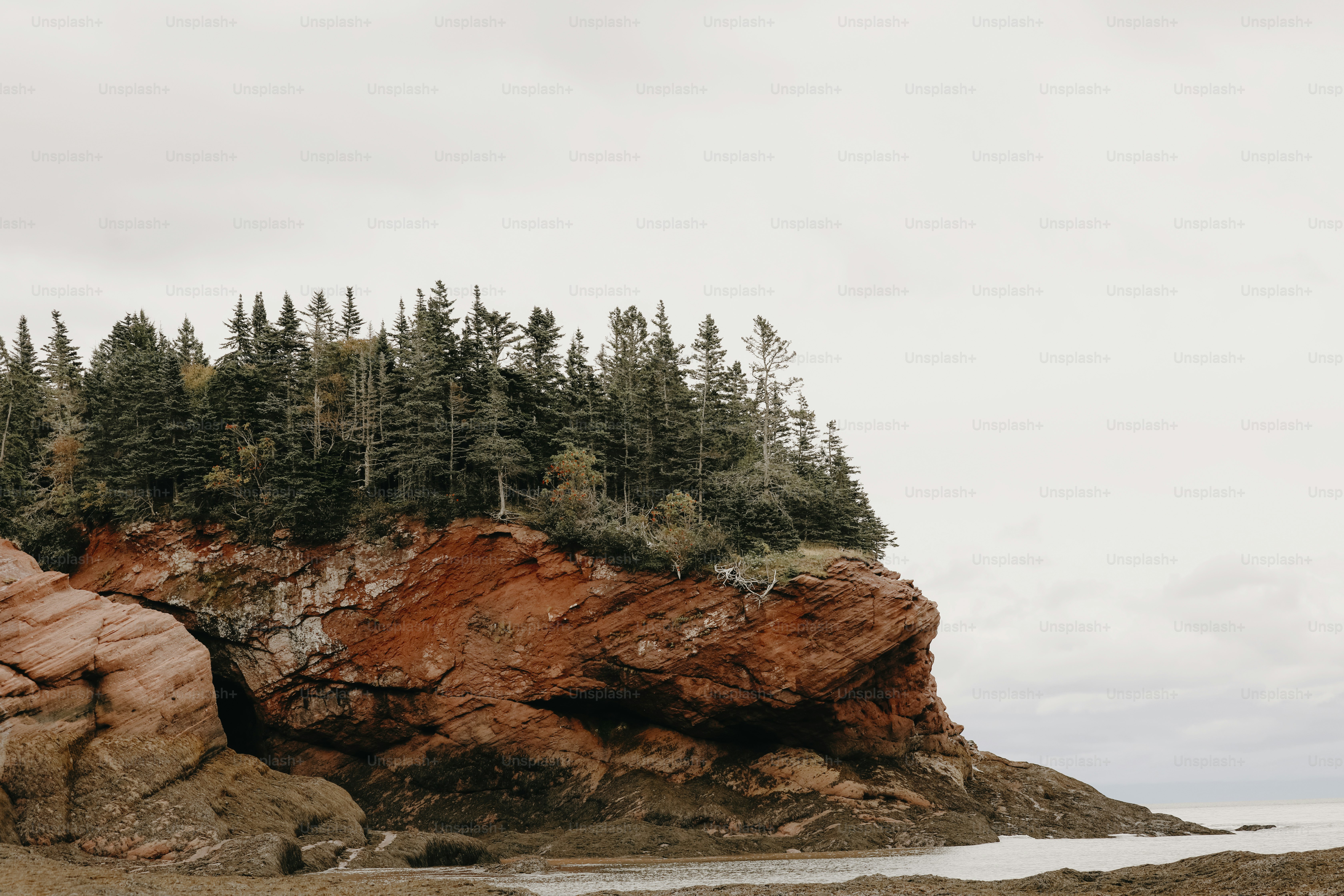 Beautiful Bay of Fundy beach with an exposed seabed during low tide in ...