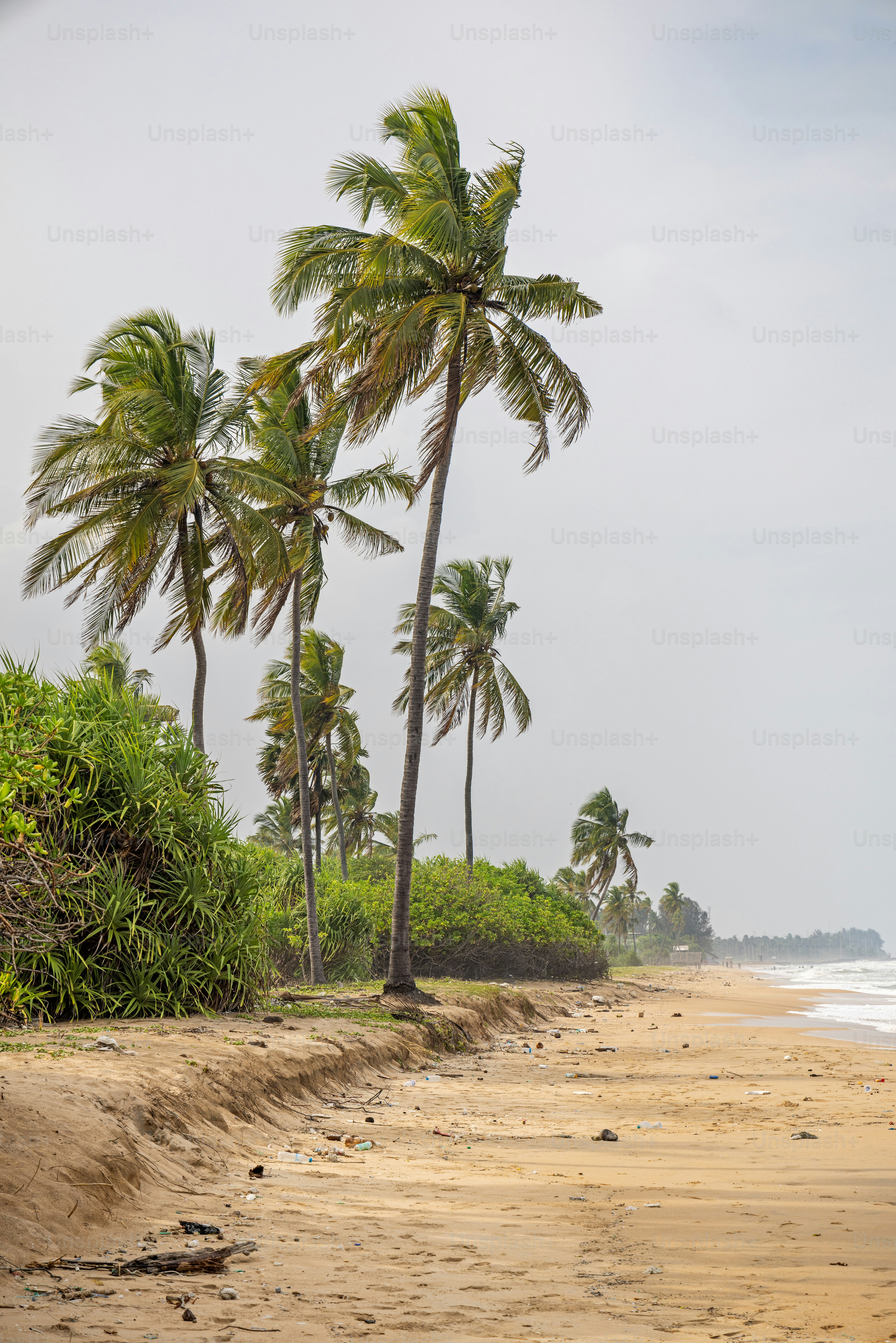 Things To Do in Narammala 2025 - Top Attractions & Activities | Sri Lanka