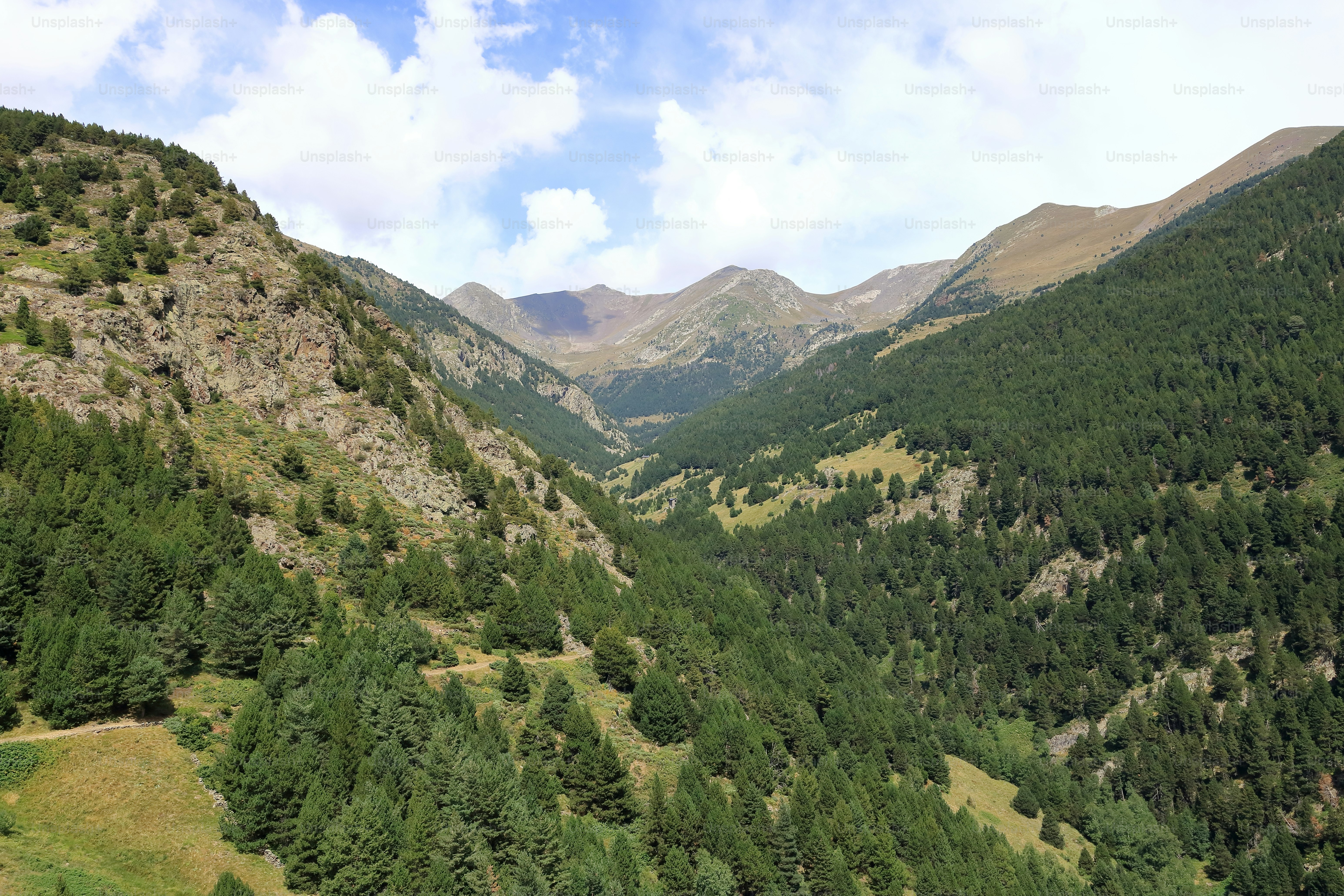 The Andorra mountain landscape in Canillo in summer photo – Forest ...