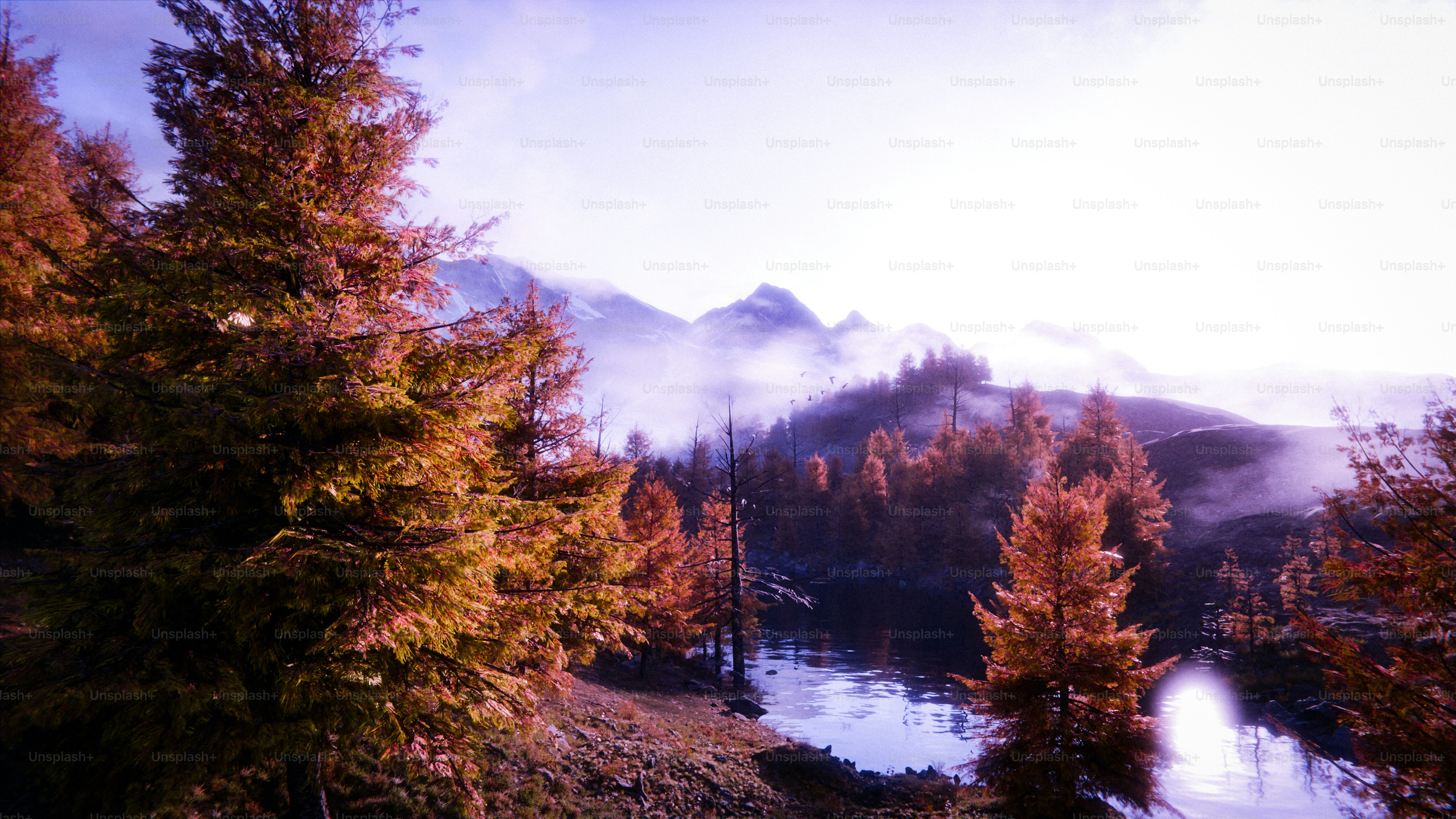 Autumn trees line a serene landscape with mountains. photo – Autumn ...