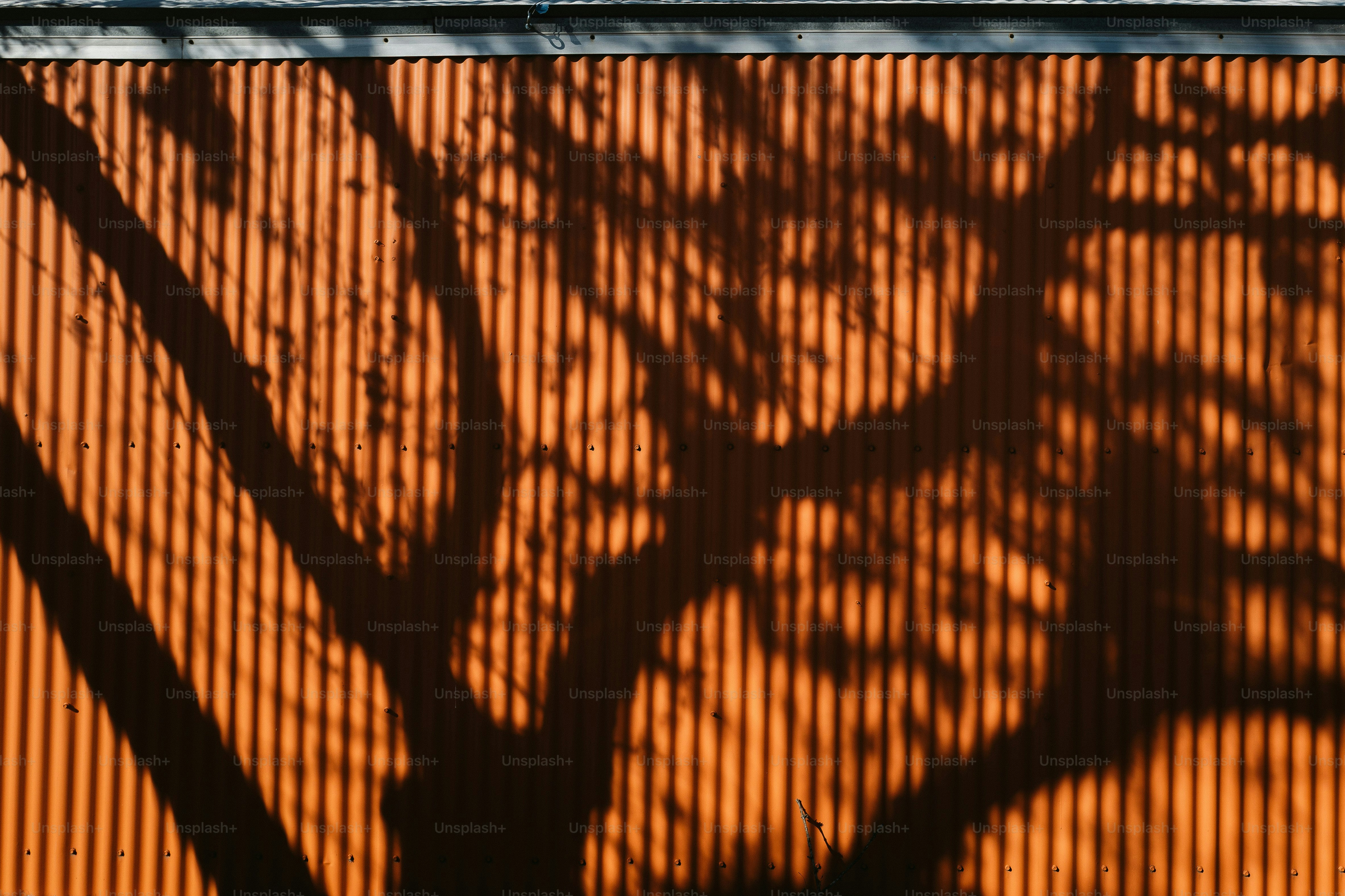 Tree shadows dance on a warm orange wall. photo – Color Image on Unsplash